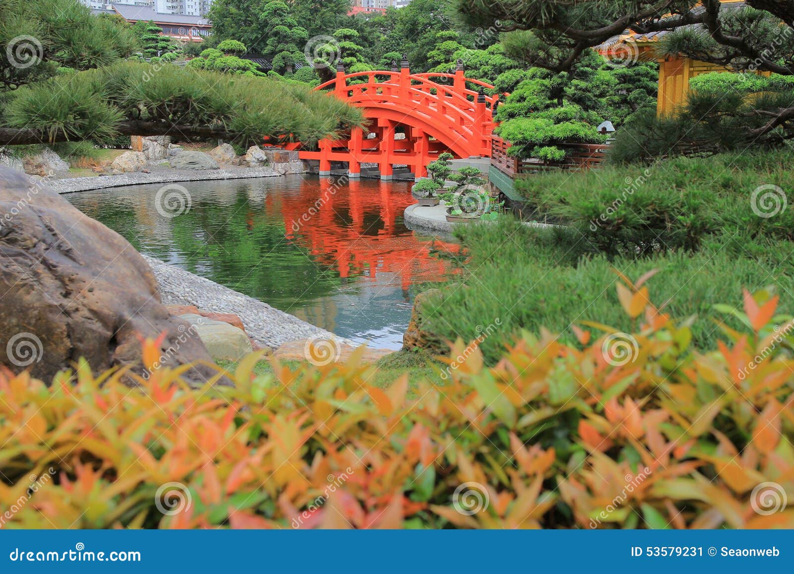 Leaning Bonsai Tree, Chi Lin Nunnery, Hong Kong Stock Image - Image of ... Leaning Bonsai Tree, Chi Lin Nunnery, Hong Kong Stock Image - Image of ...
