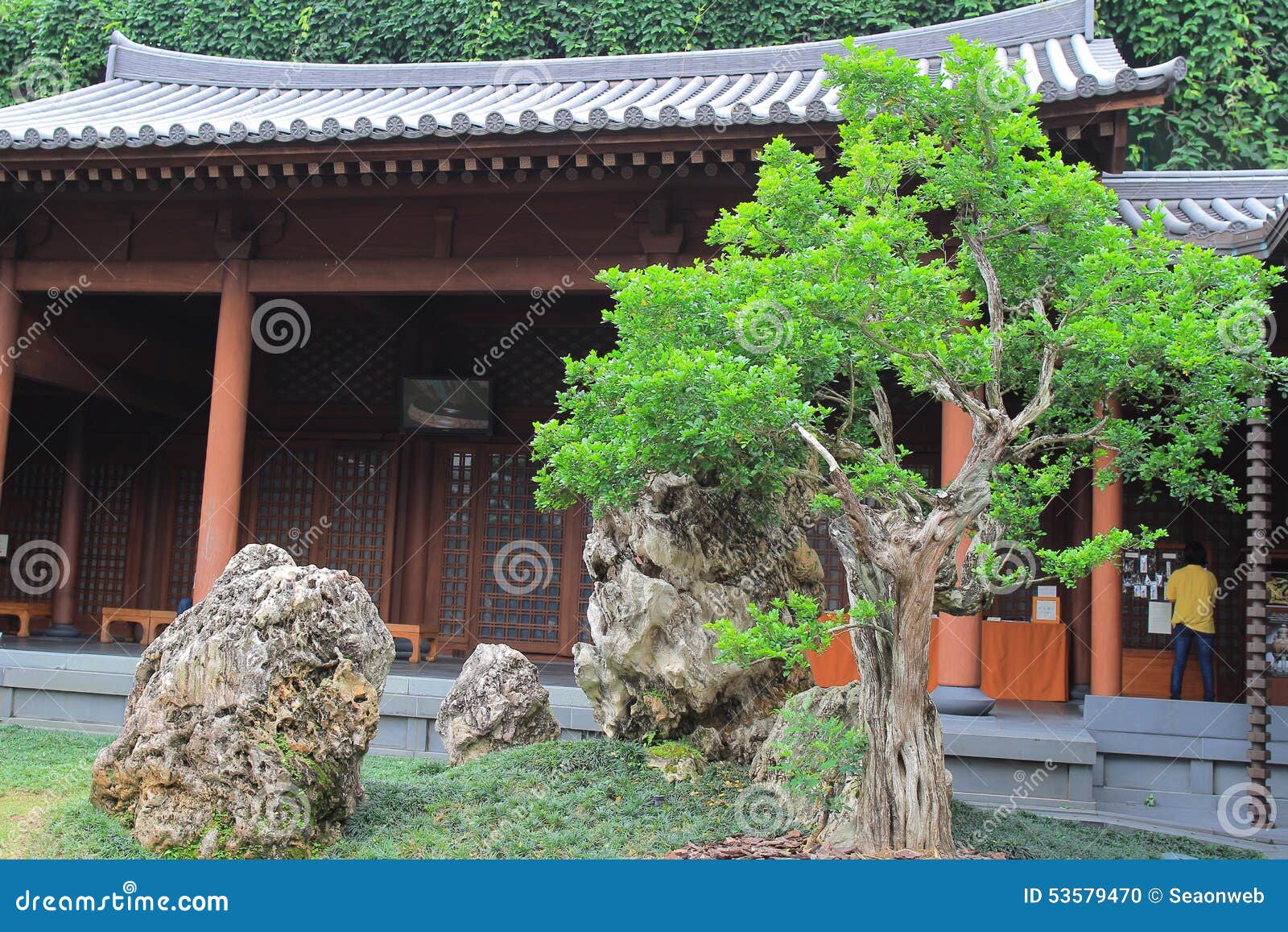 Leaning Bonsai Tree, Chi Lin Nunnery, Hong Kong Stock Photo - Image of ... Leaning Bonsai Tree, Chi Lin Nunnery, Hong Kong Stock Photo - Image of ...