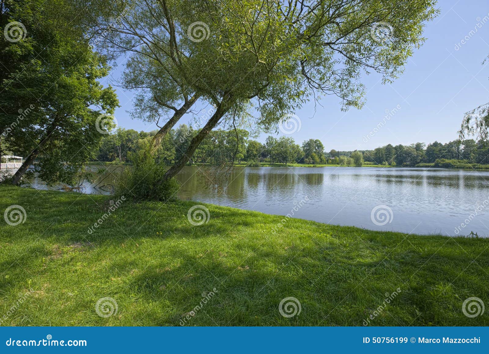 Leaning Trees Of Greenough - Iconic Tourist Attraction Located South Of ...