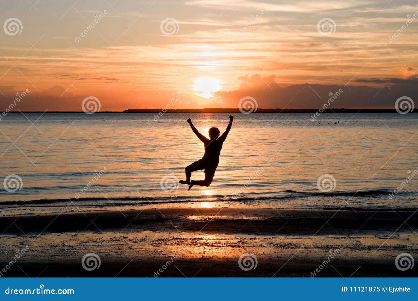 Leap of freedom stock image. Image of success, freedom - 11121875