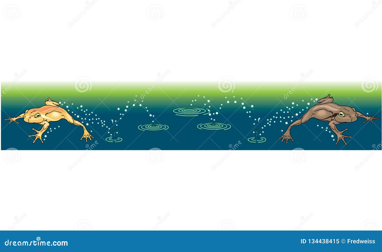 Leaping Frogs Border Vector Illustration | CartoonDealer.com #134438415