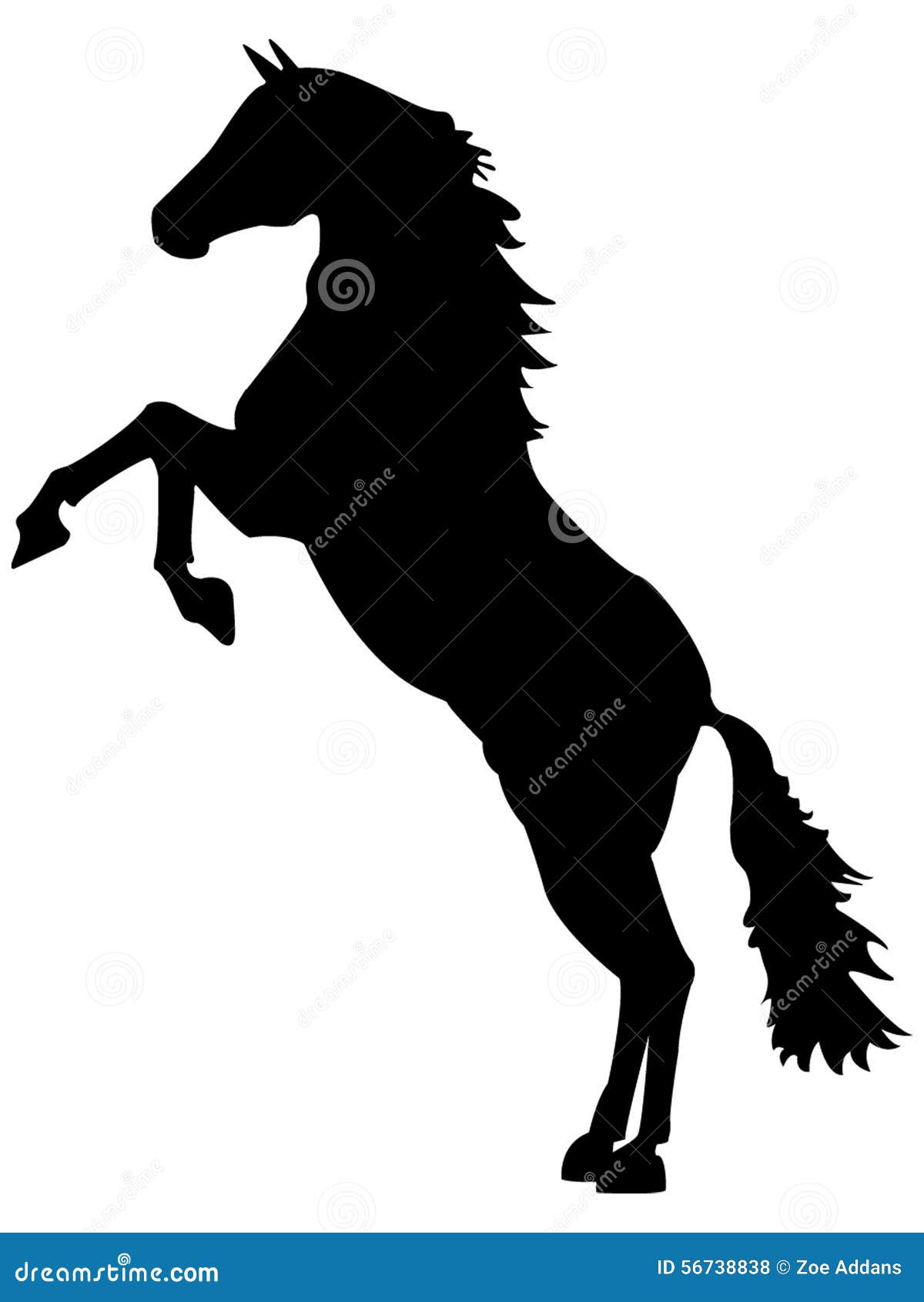 Leaping Horse stock illustration. Illustration of mane - 56738838