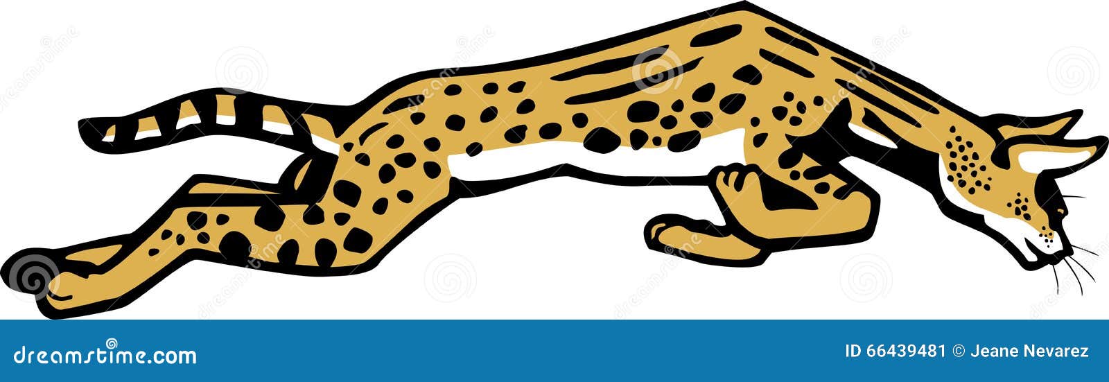 Leaping Serval stock vector. Illustration of mammal, wildlife - 66439481