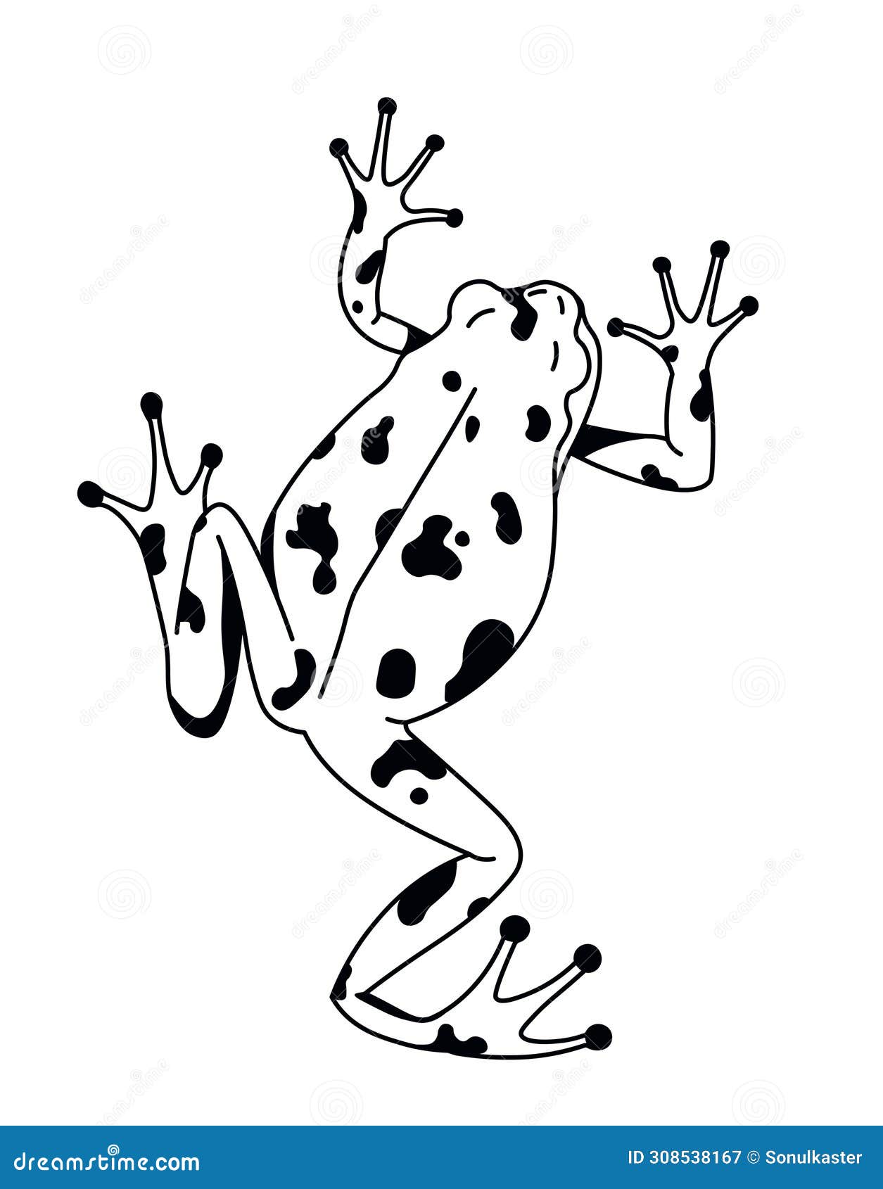 Leaping Spotted Frog Dynamic Pose Stock Illustration - Illustration of ...
