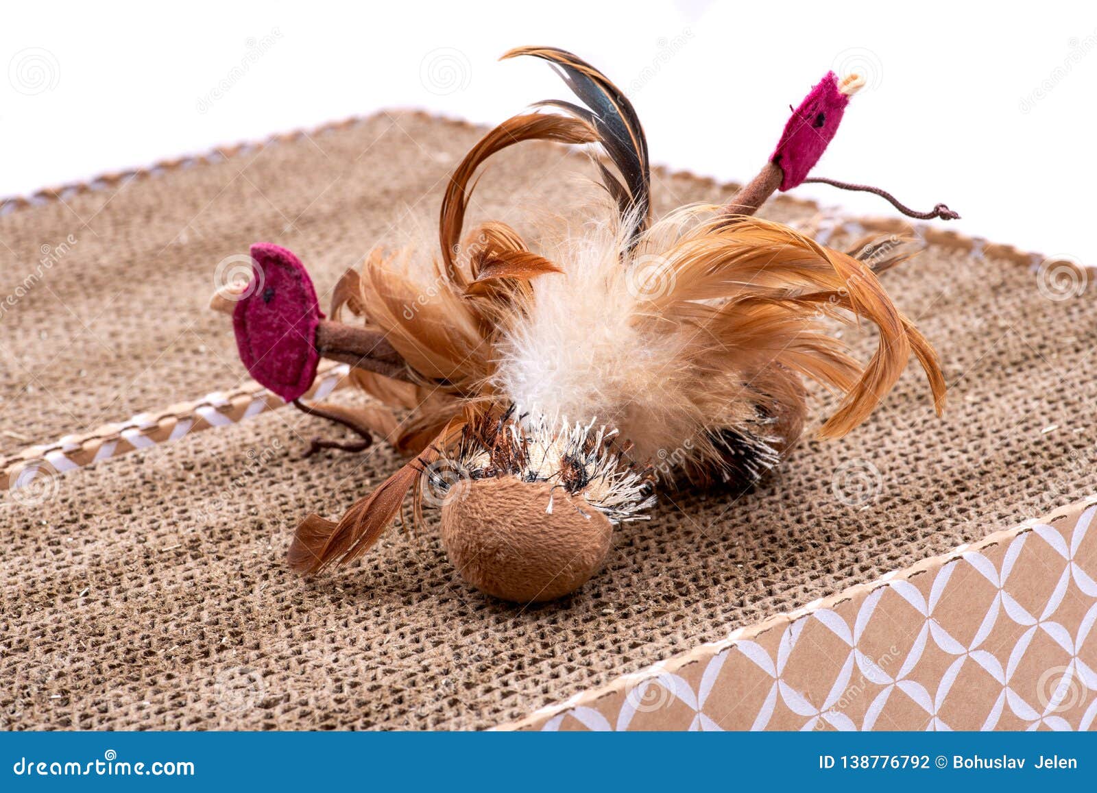 Leaps & Bounds Ball with Feather Cat Toy on Reversible Cat Scratcher ... Leaps & Bounds Ball with Feather Cat Toy on Reversible Cat Scratcher ...