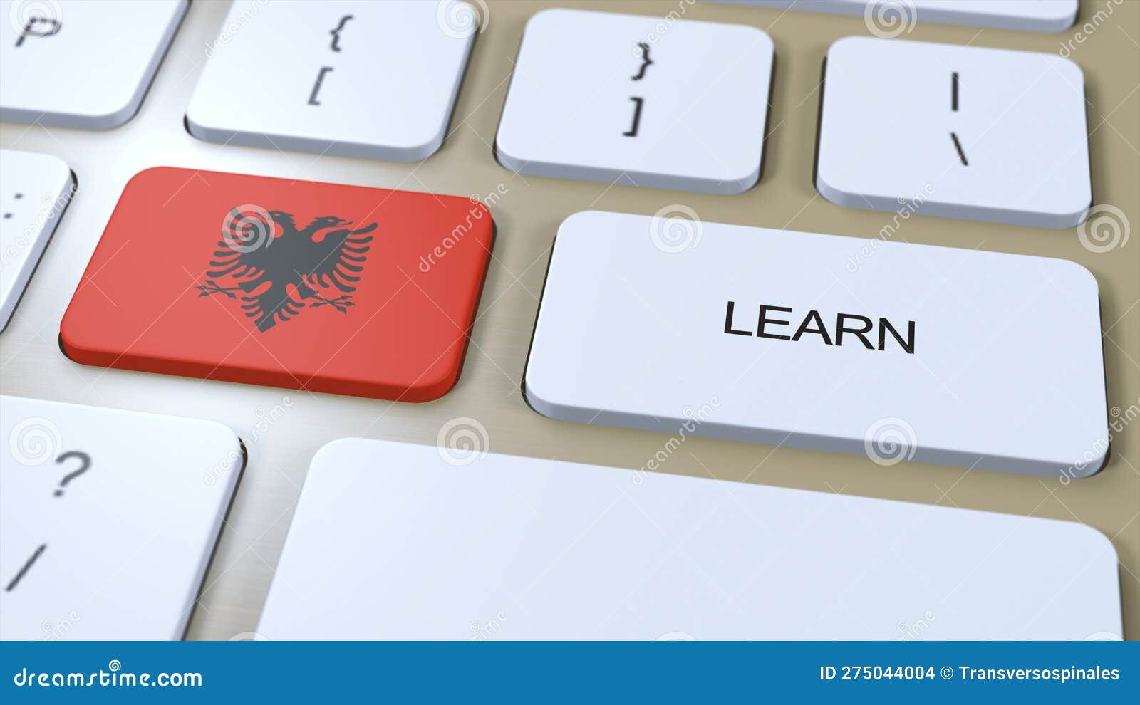 Learn Albanian Language Concept. Online Study Courses. Button with Text ...