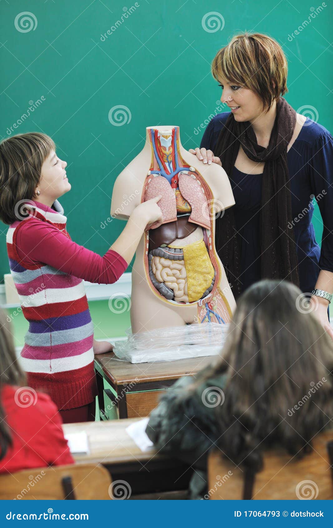 Learn biology in school stock image. Image of girl, beautiful - 17064793