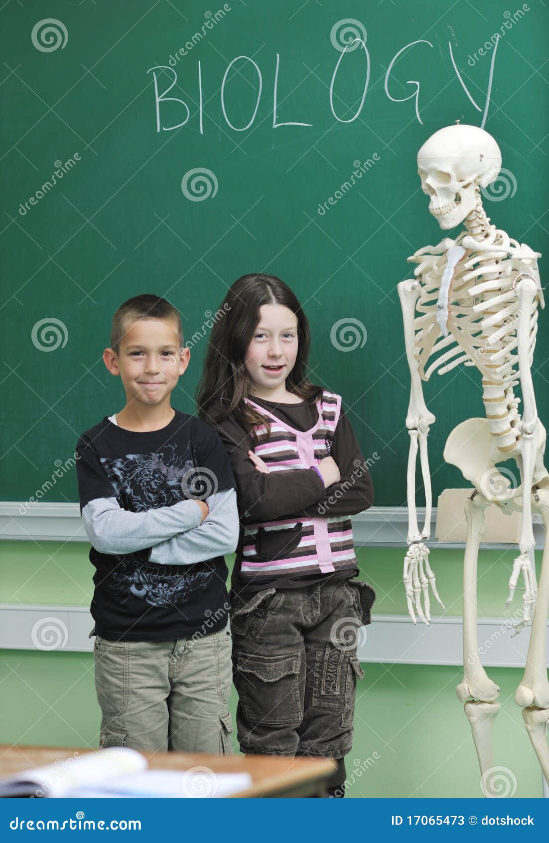 Learn biology in school stock image. Image of adult, learn - 17065473