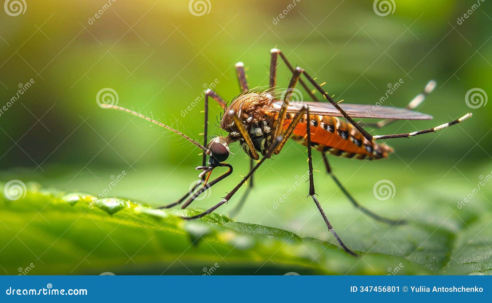 Learn Effective First Aid Methods for Poisonous Insect Bites ...