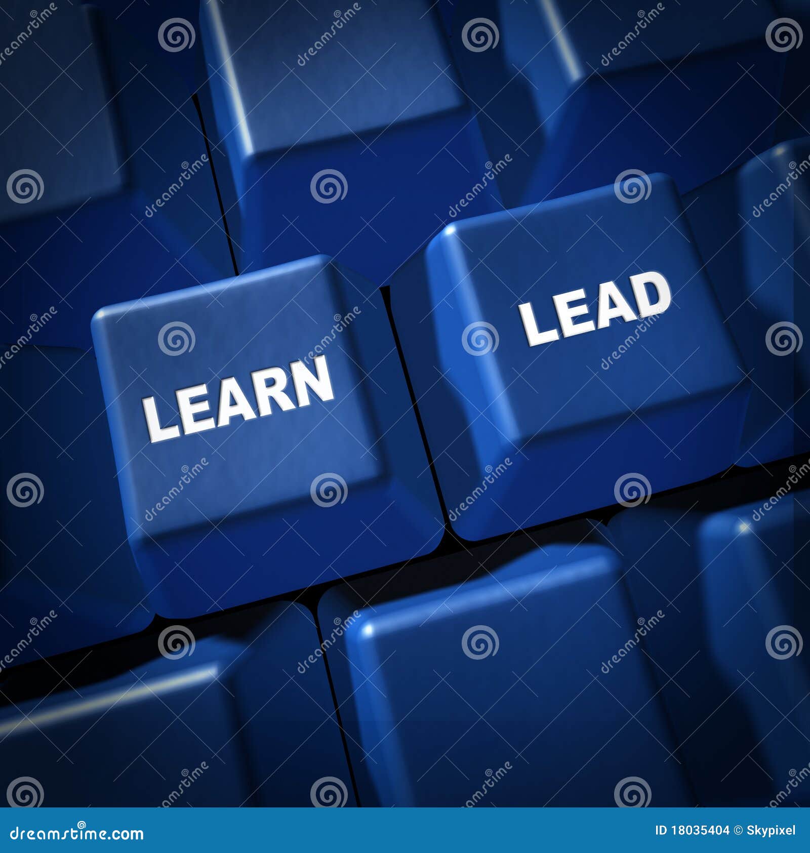 Learn Lead Strategy Planning Computer Key Stock Photo - Image of ...