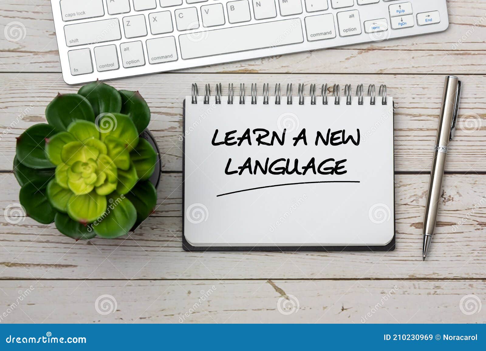 Language Text With Back To School Wallpaper. Language And School ...