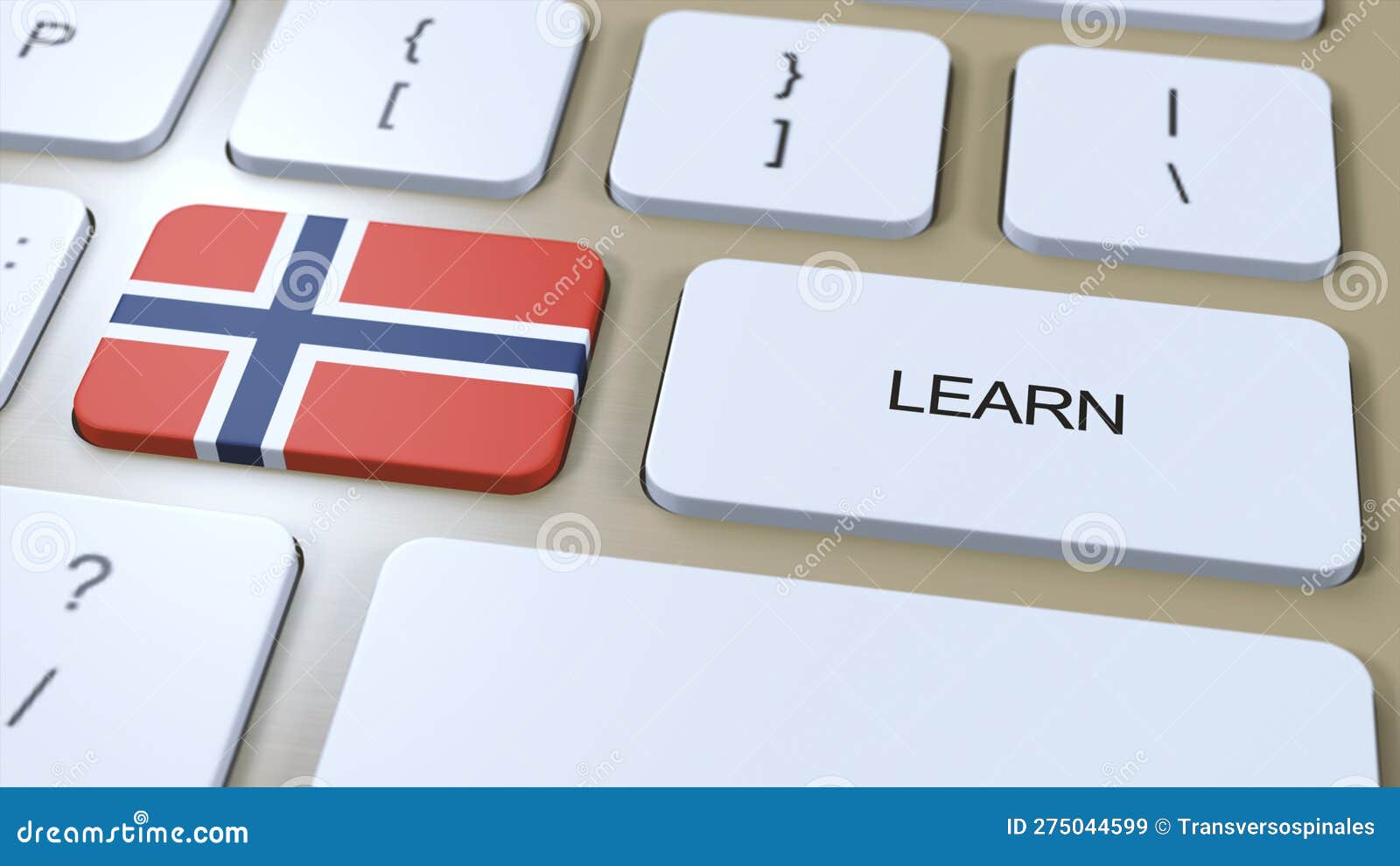 Learn Norwegian Language Concept. Online Study Courses. Button with ...