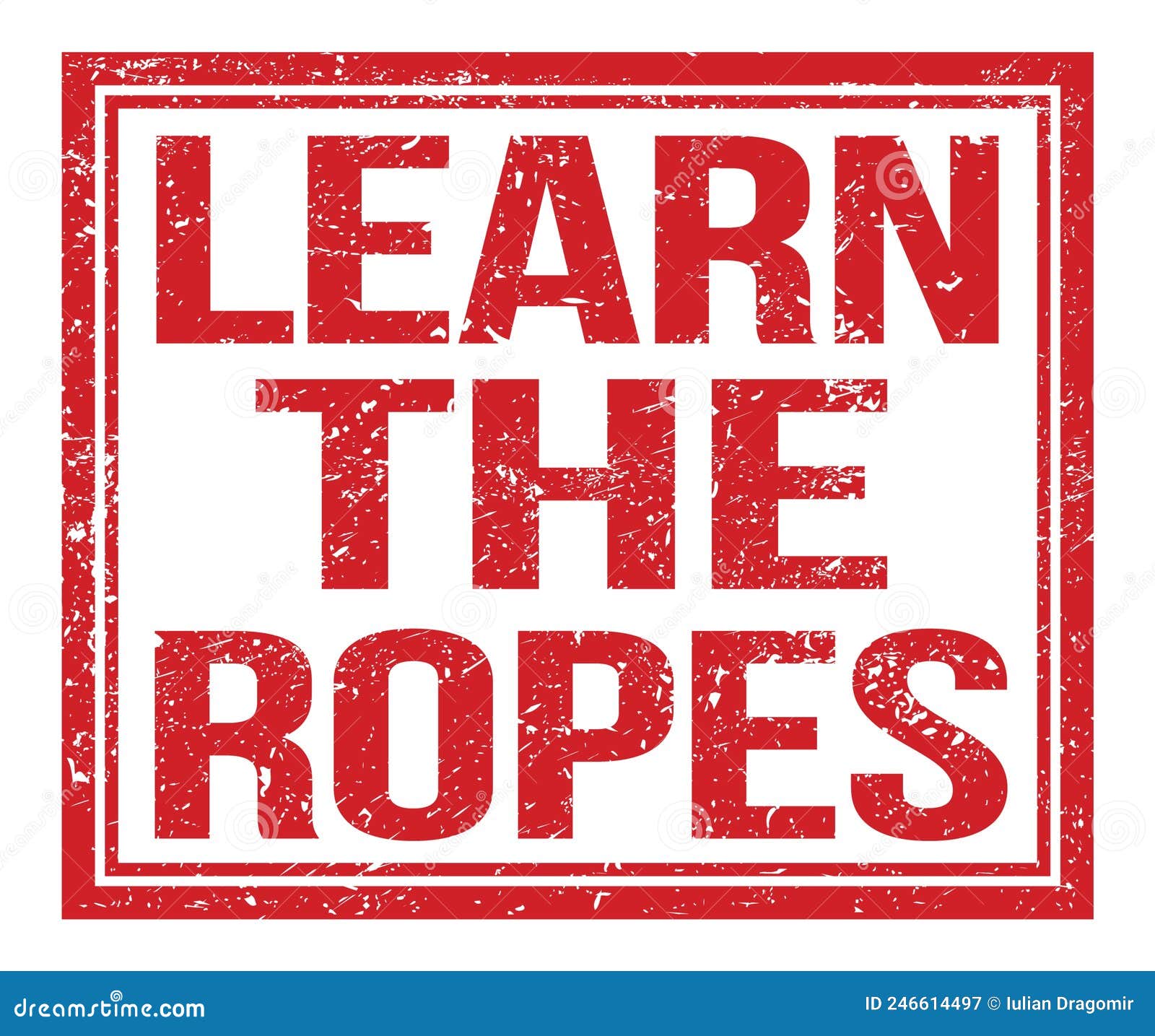 LEARN the ROPES, Text on Red Grungy Stamp Sign Stock Illustration ...