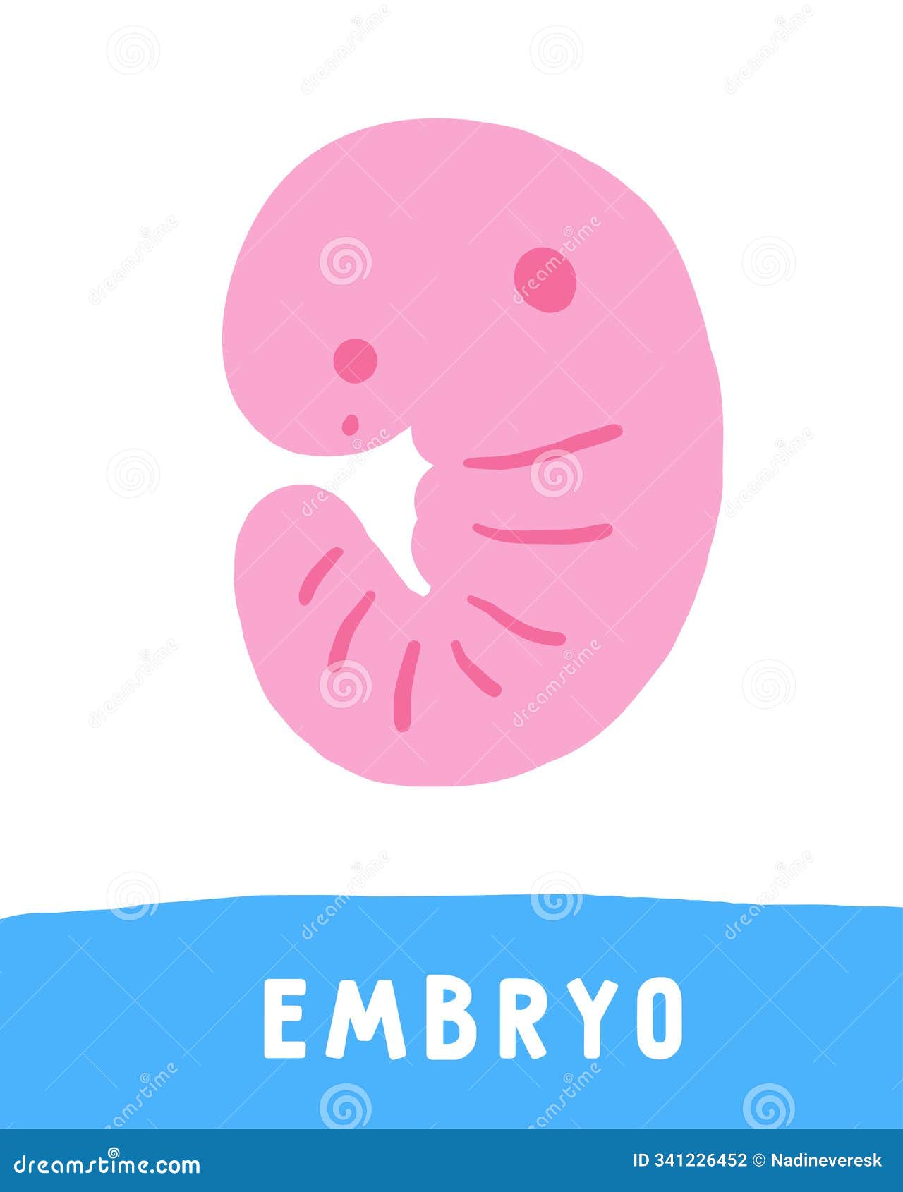 Learn Science Objects Flashcard for Kids Stock Vector - Illustration of ...