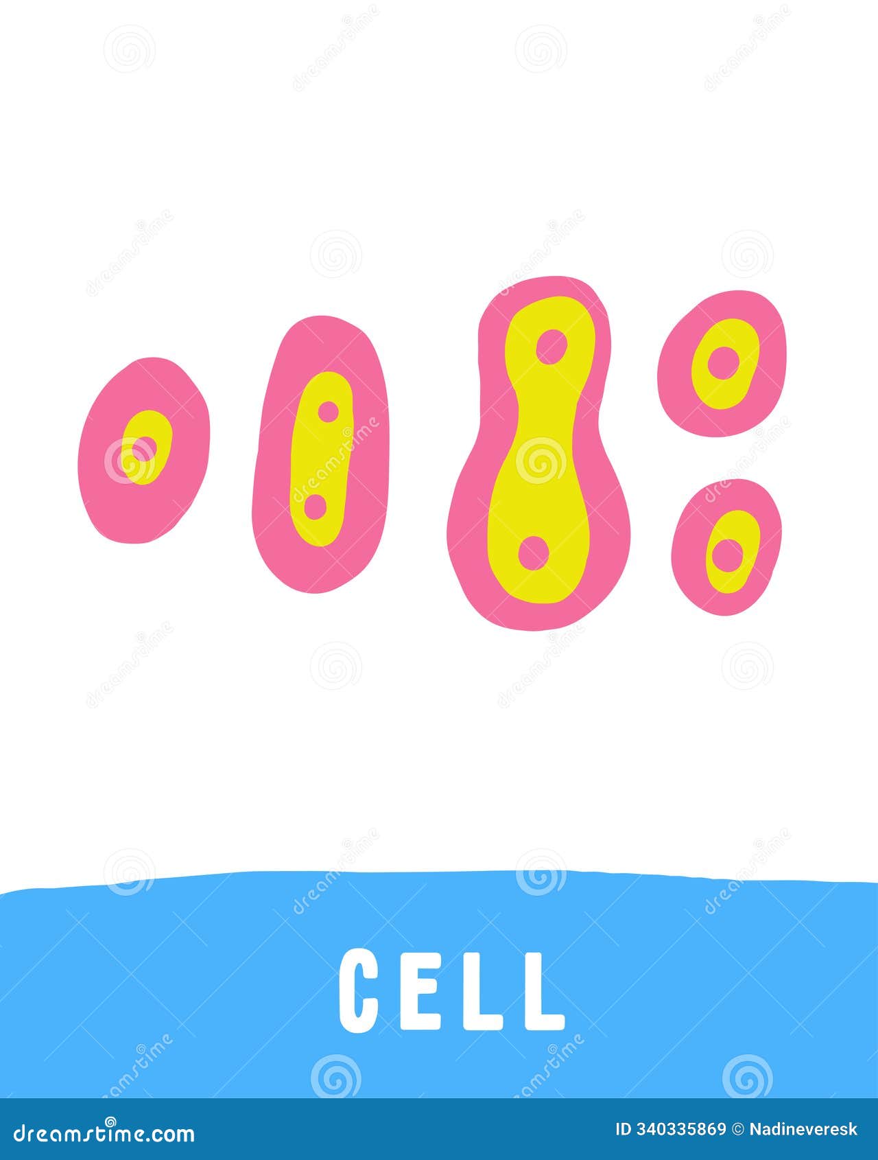 Learn Science Objects Flashcard For Kids Vector Illustration ...