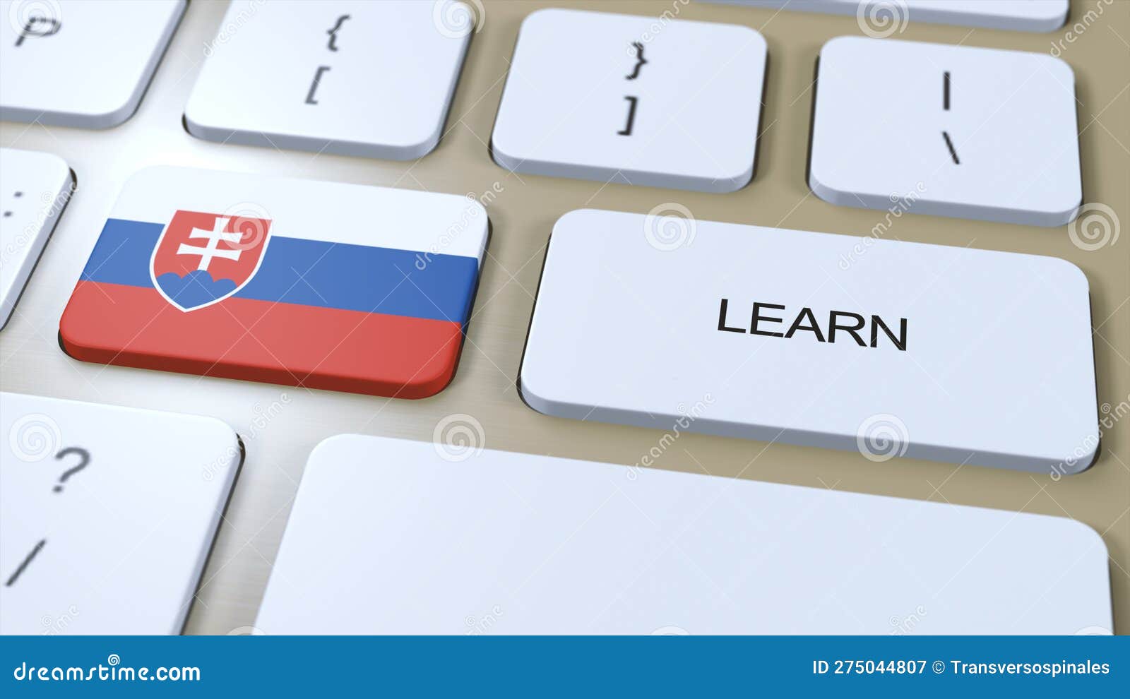 Learn Slovak Language Concept. Online Study Courses. Button with Text ...