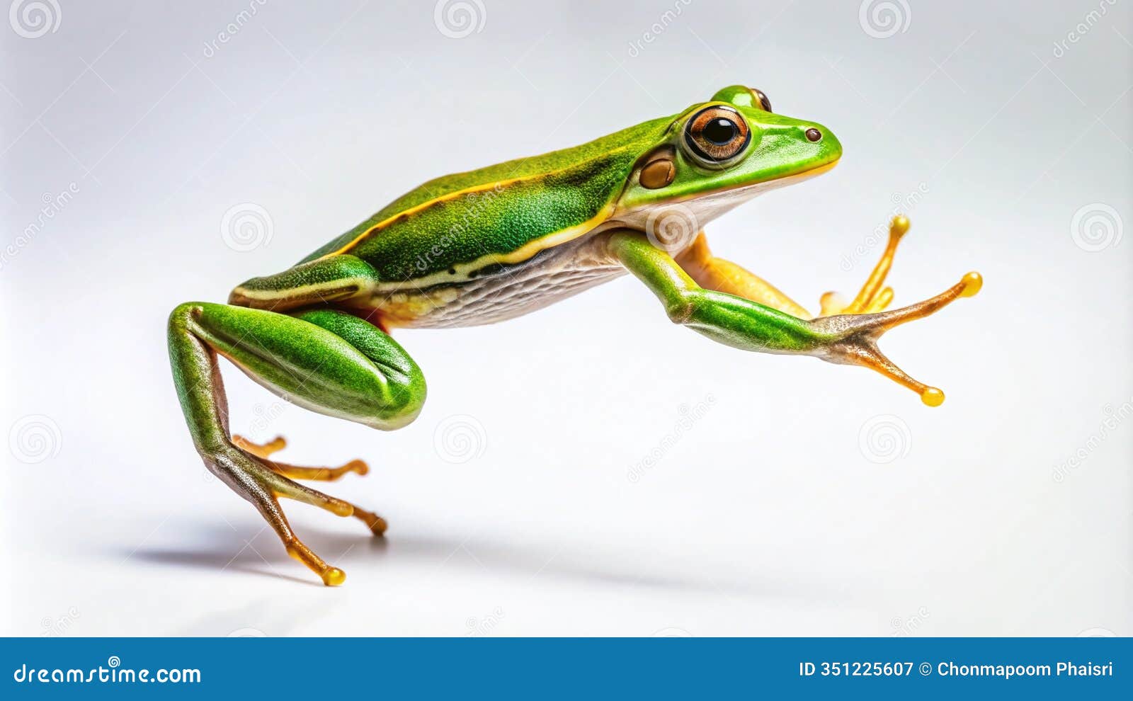 A Simple StepbyStep Guide To Drawing A Mayflower A Beginners Historical ...