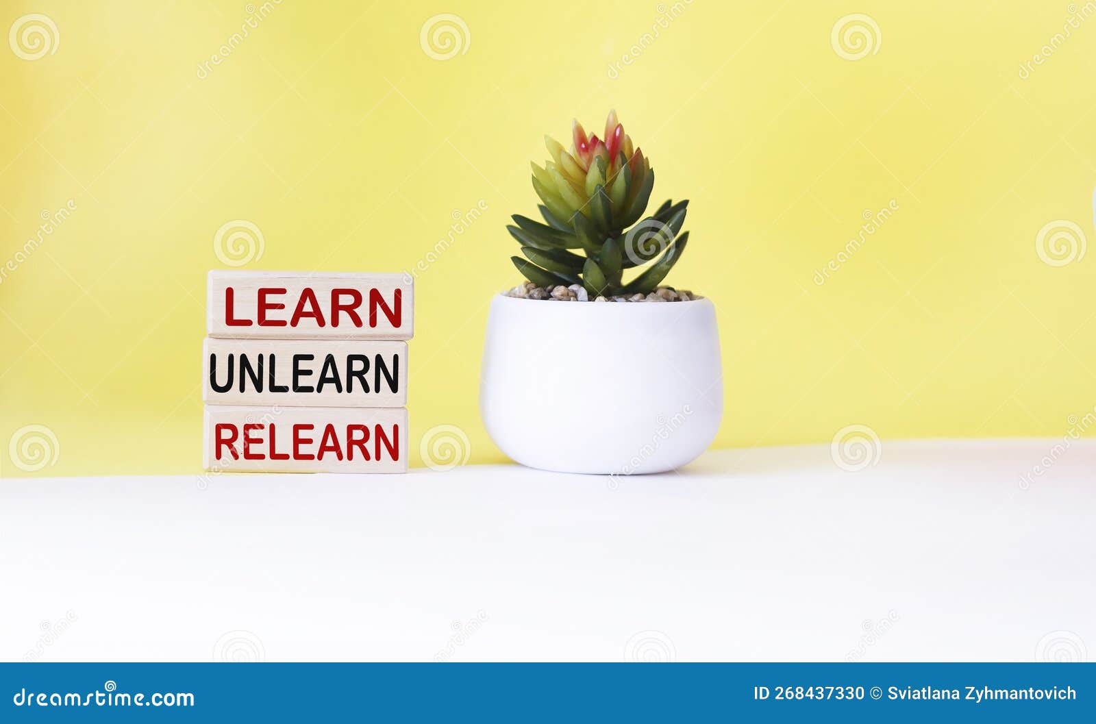 Learn, Unlearn, Relearn - Abstract Words on Wooden Blocks with Cactus ...