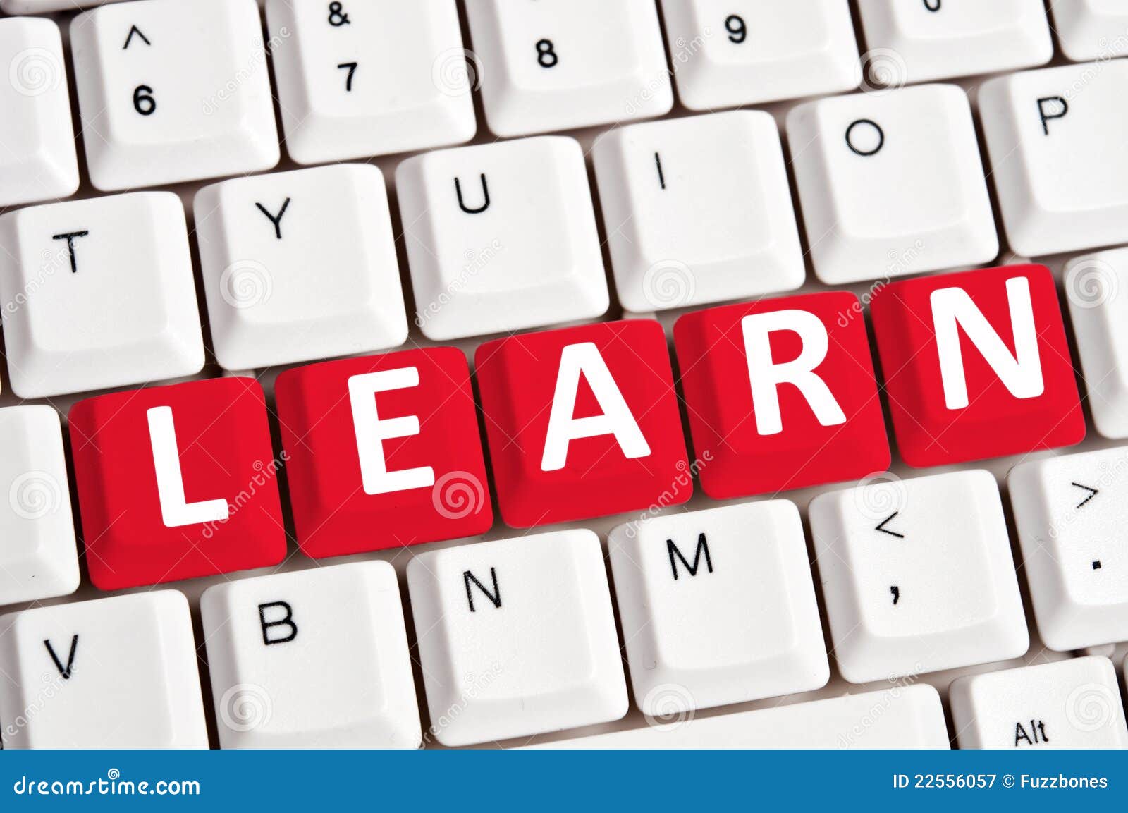Learn word on keyboard stock image. Image of learn, student - 22556057