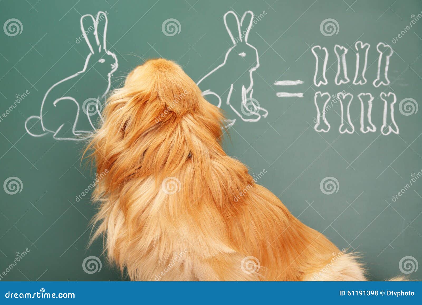 Learner stock photo. Image of erudite, clever, error - 61191398