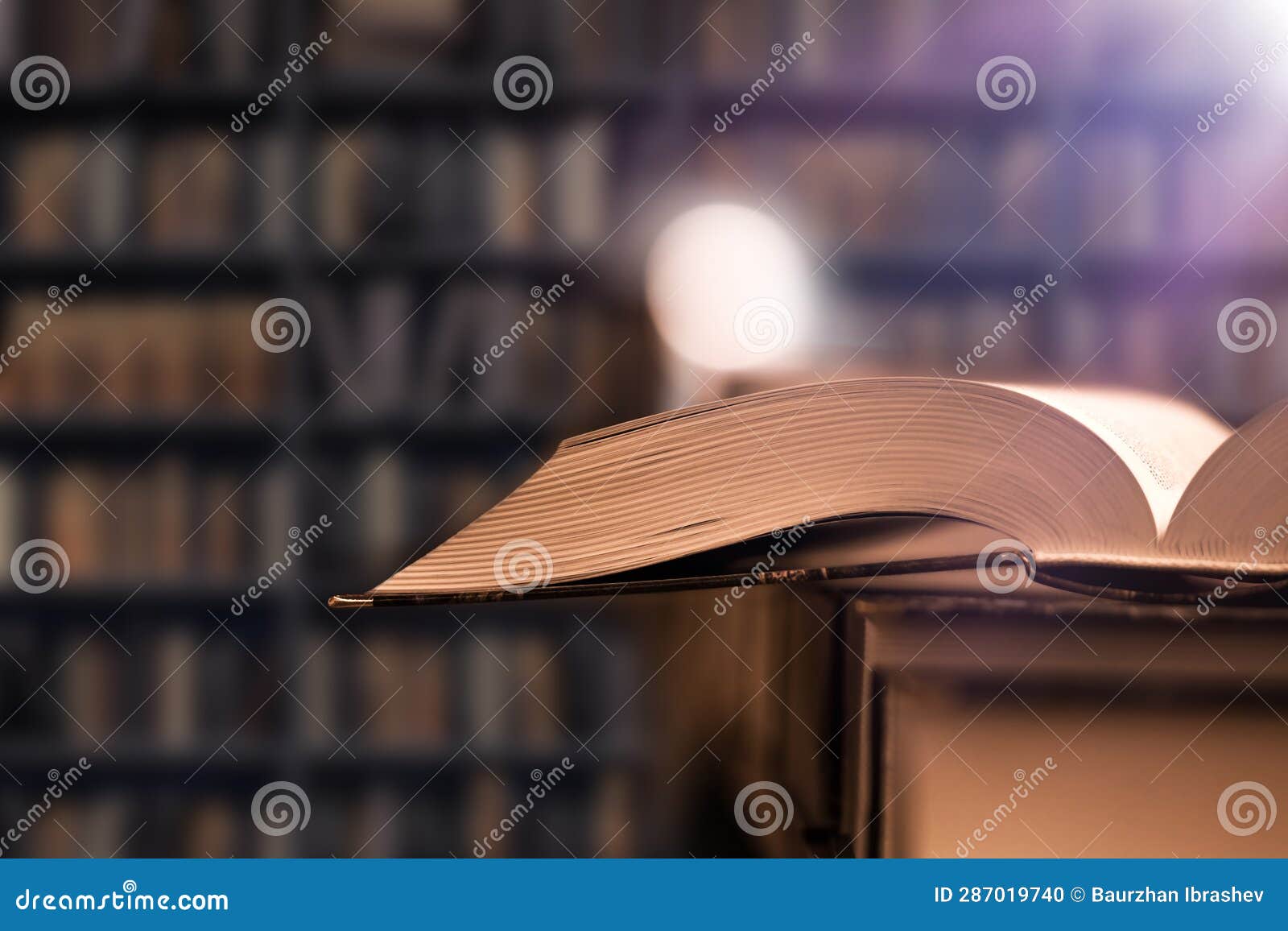 Learning from Books in the Library. Open Book in College Library ...