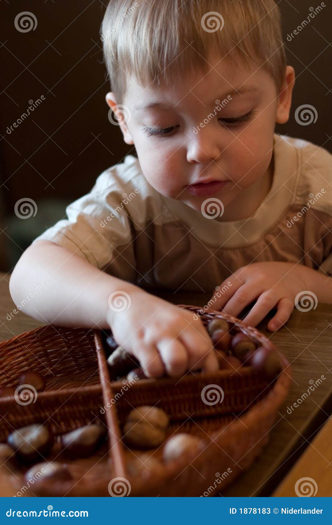 Learning boy stock image. Image of people, little, preschool - 1878183
