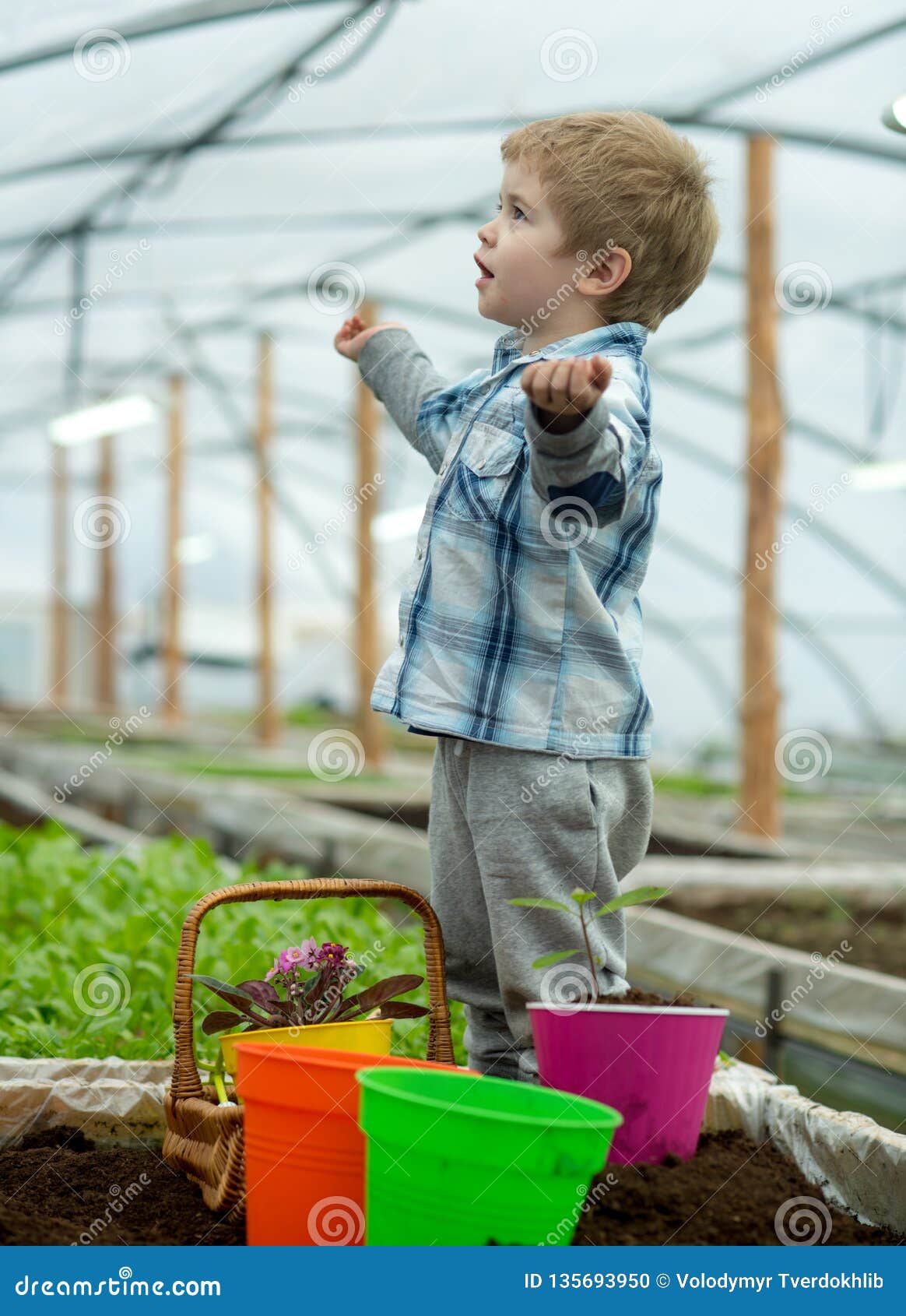 Learning Ecology. Small Boy Learning Ecology in Greenhouse. Learning ...