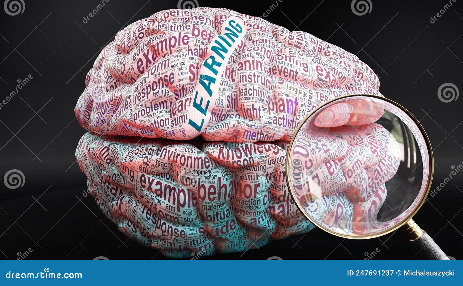 Learning in human brain stock image. Image of abstract - 247691237