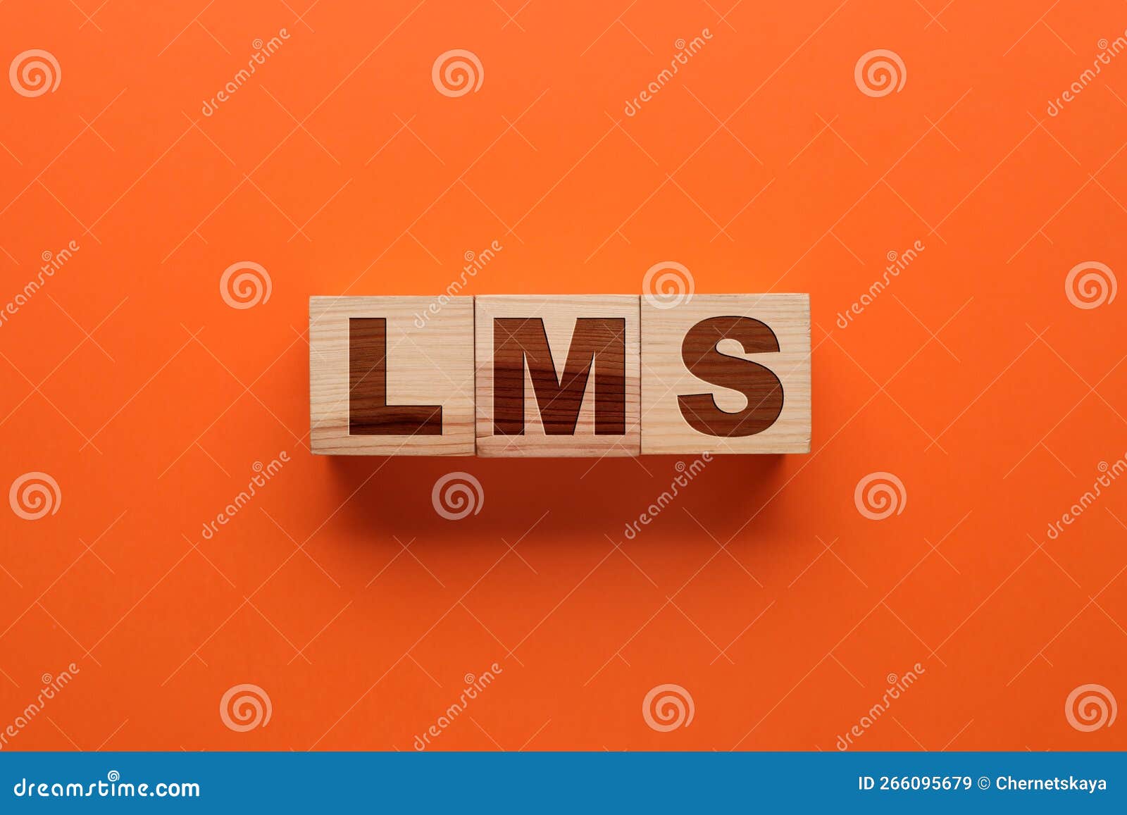 Learning Management System. Wooden Cubes with Abbreviation LMS on ...