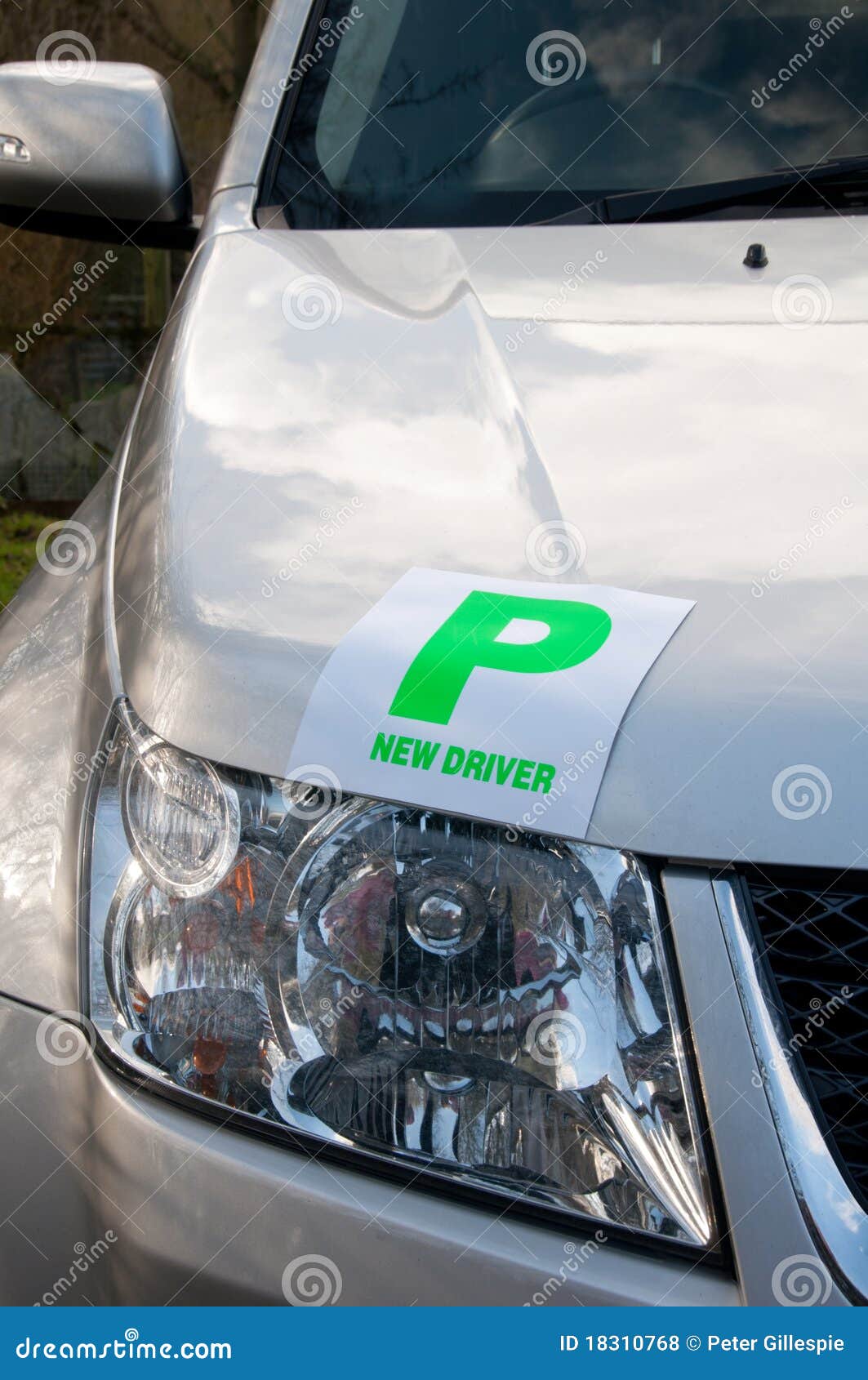 Learning Plates on a car stock photo. Image of highway - 18310768