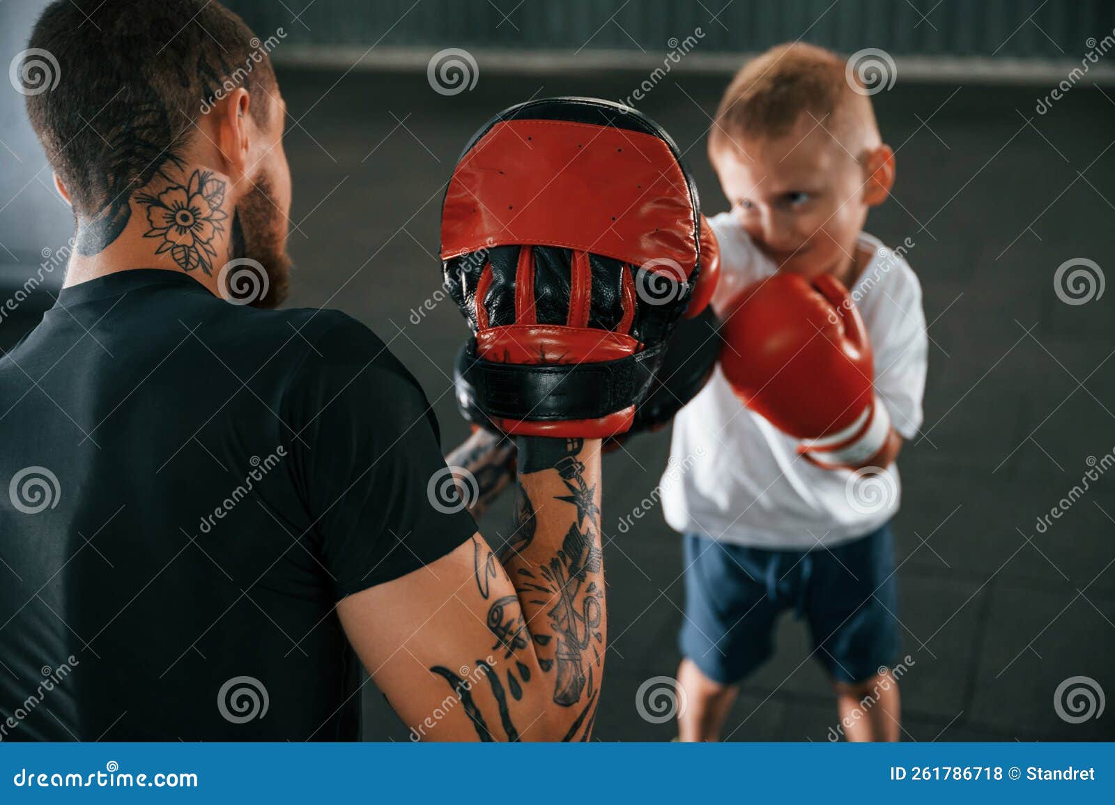 Learning Process. Punching the Hand Stock Photo - Image of muscles ...