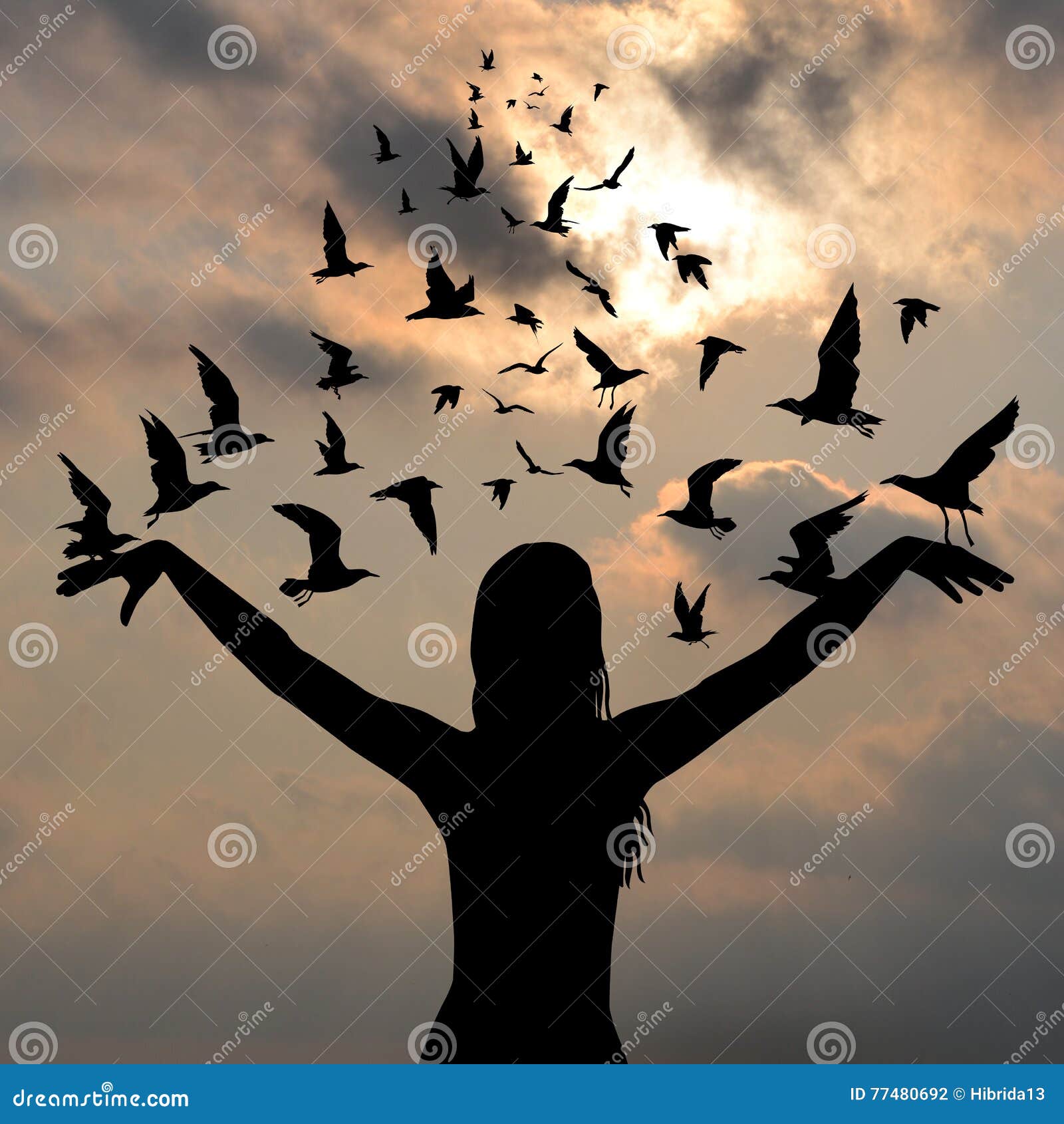 Learning to fly concept stock photo. Image of painted - 77480692