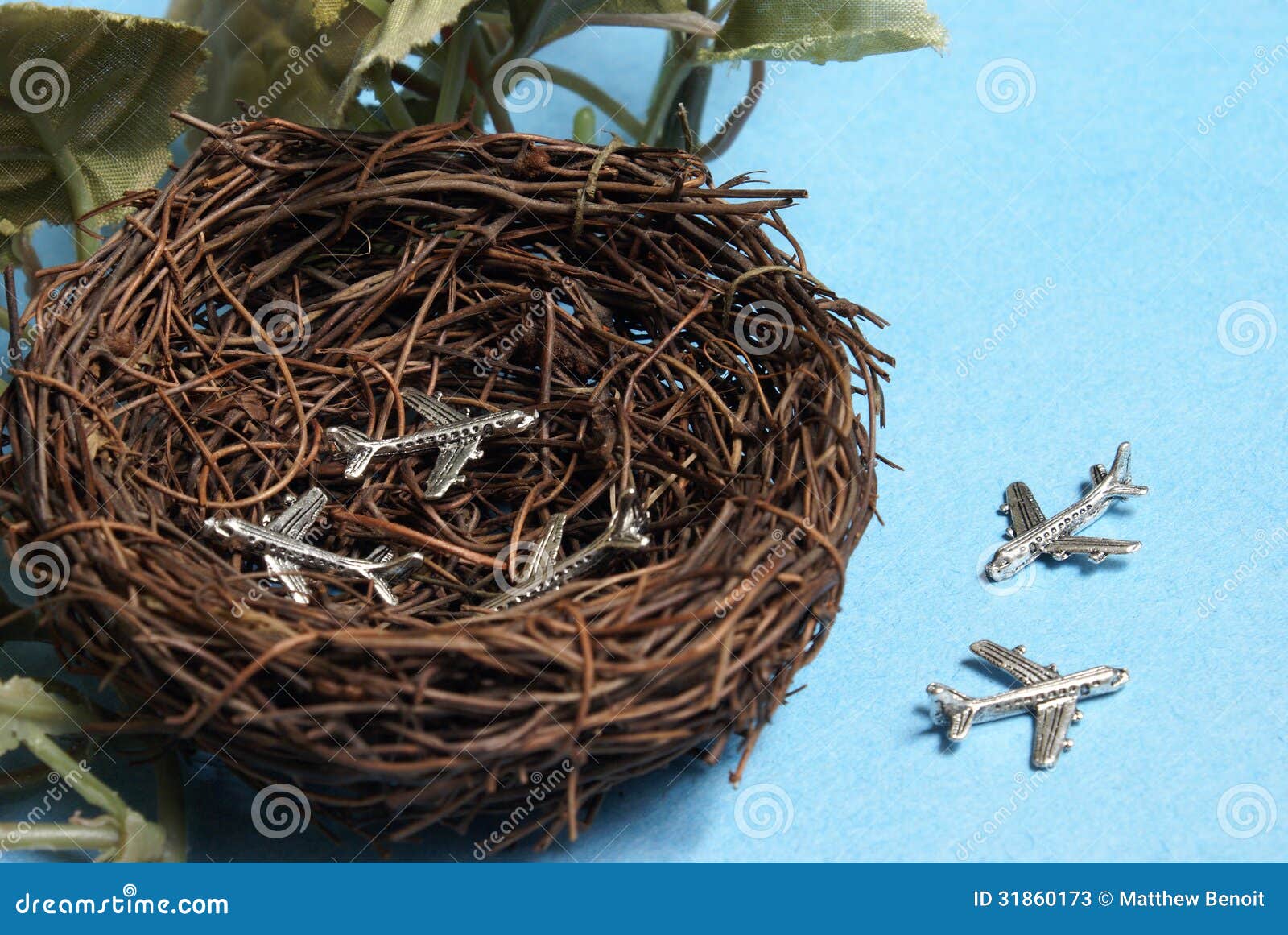 Learning to Fly stock image. Image of idea, bird, mother - 31860173