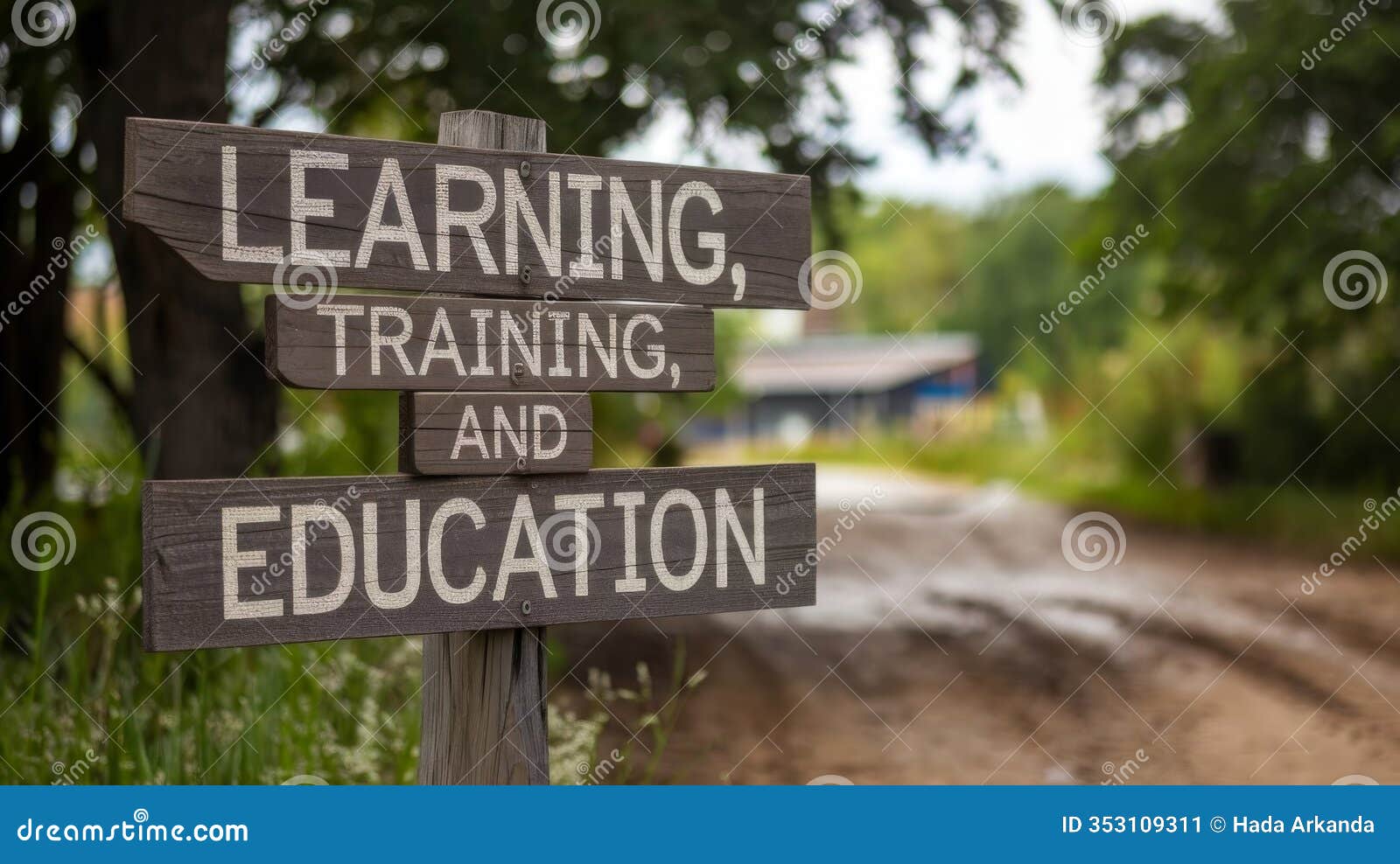 Learning, Training and Education Text on Wooden Road Sign Outdoors in ...