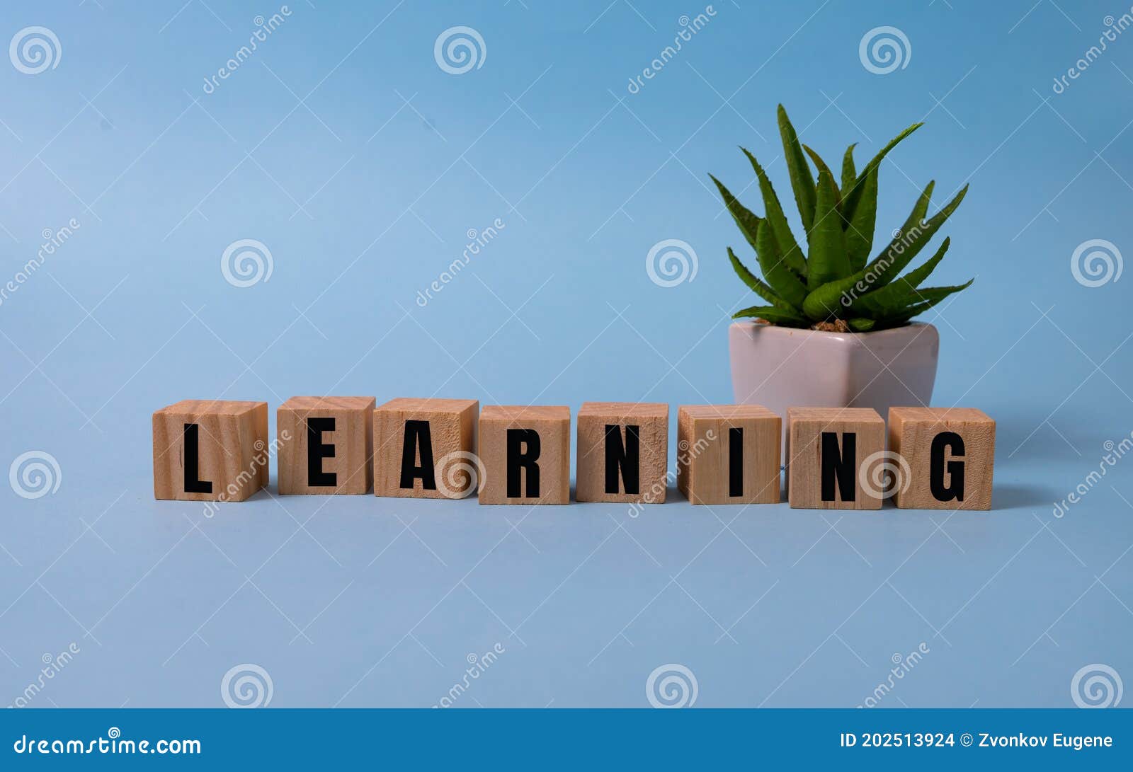 Learning Word Written in Wooden Cube on Blue Stock Photo - Image of ...