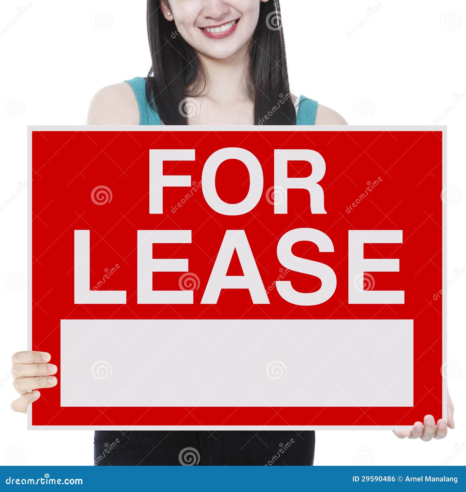 For Lease stock photo. Image of rental, placard, letting - 29590486