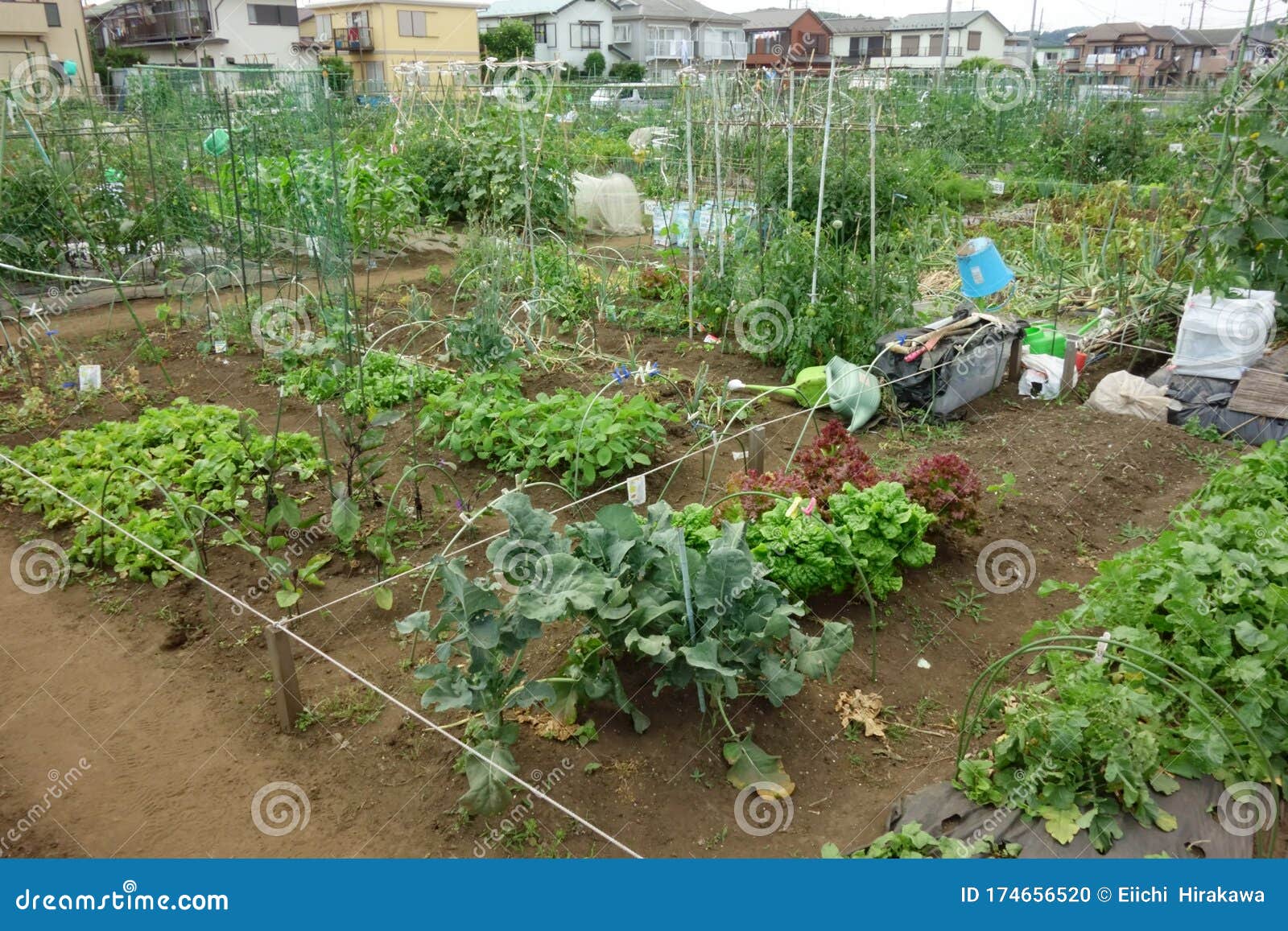 Lease area split farm stock photo. Image of municipal - 174656520