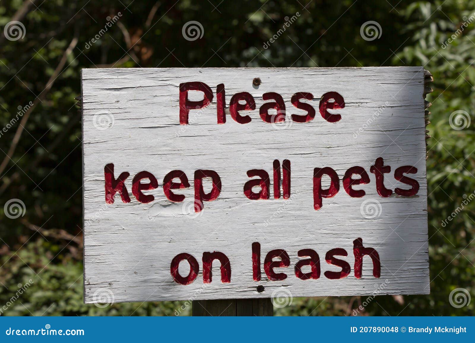 Leash Pets Sign stock photo. Image of announcement, communication ...