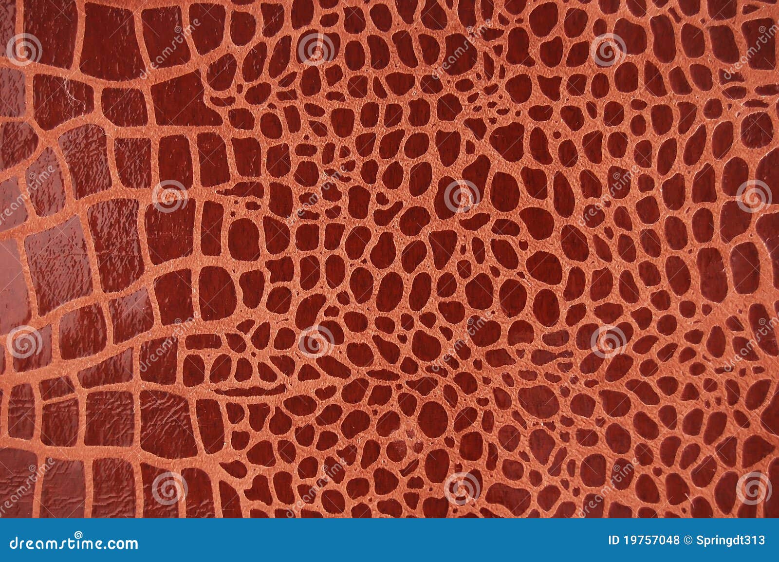 Leather stock photo. Image of isolated, leather, isolate - 19757048