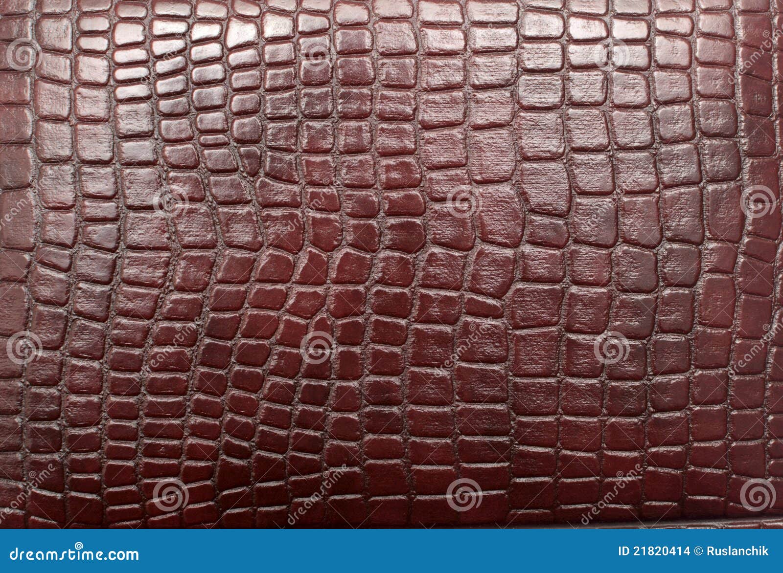 Leather stock photo. Image of skin, fashion, rough, remarkable - 21820414