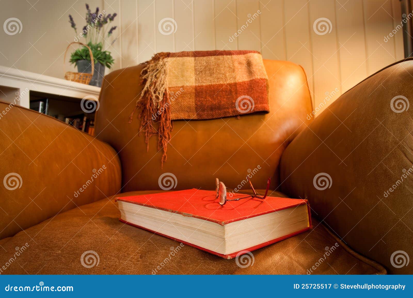 Leather Armchair and Book stock image. Image of armchair - 25725517
