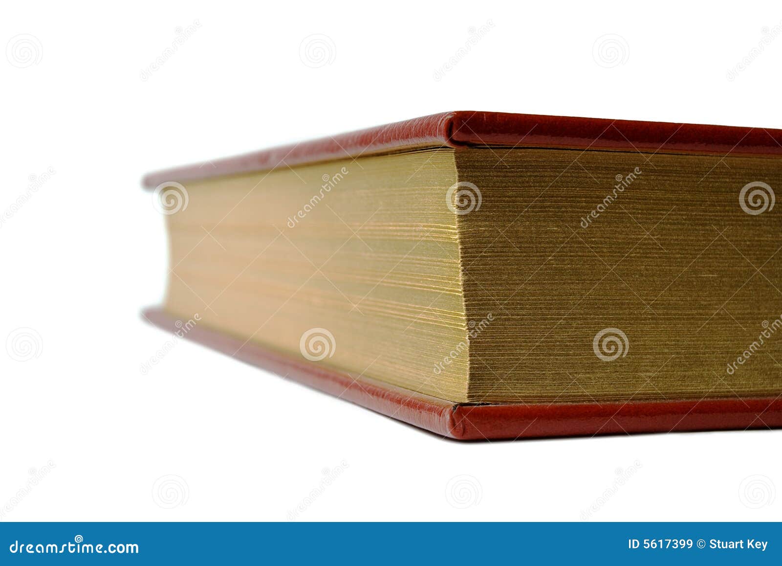 Leather book edge stock image. Image of read, edge, emboss - 5617399