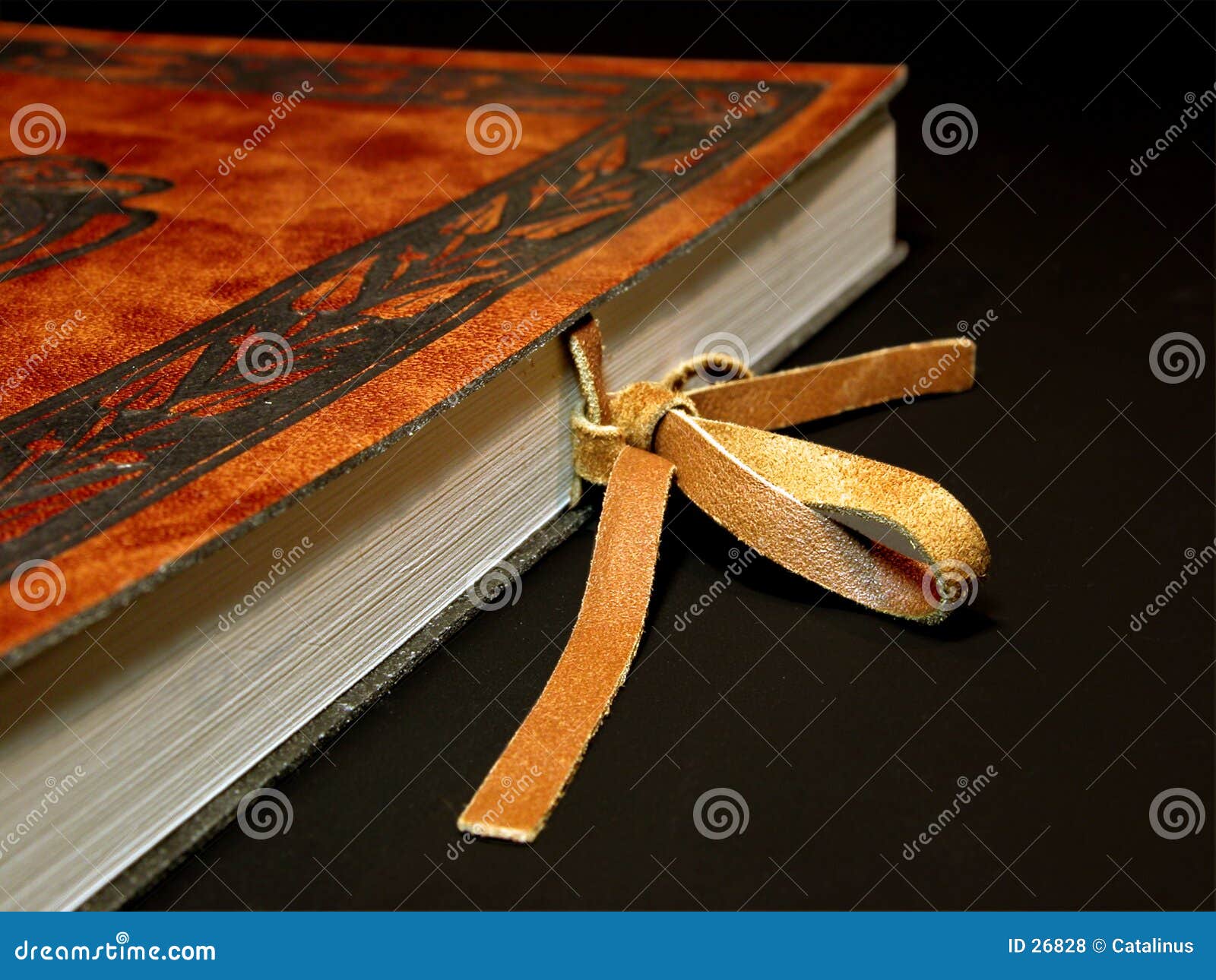 Leather book with fastener stock photo. Image of paper, page - 26828