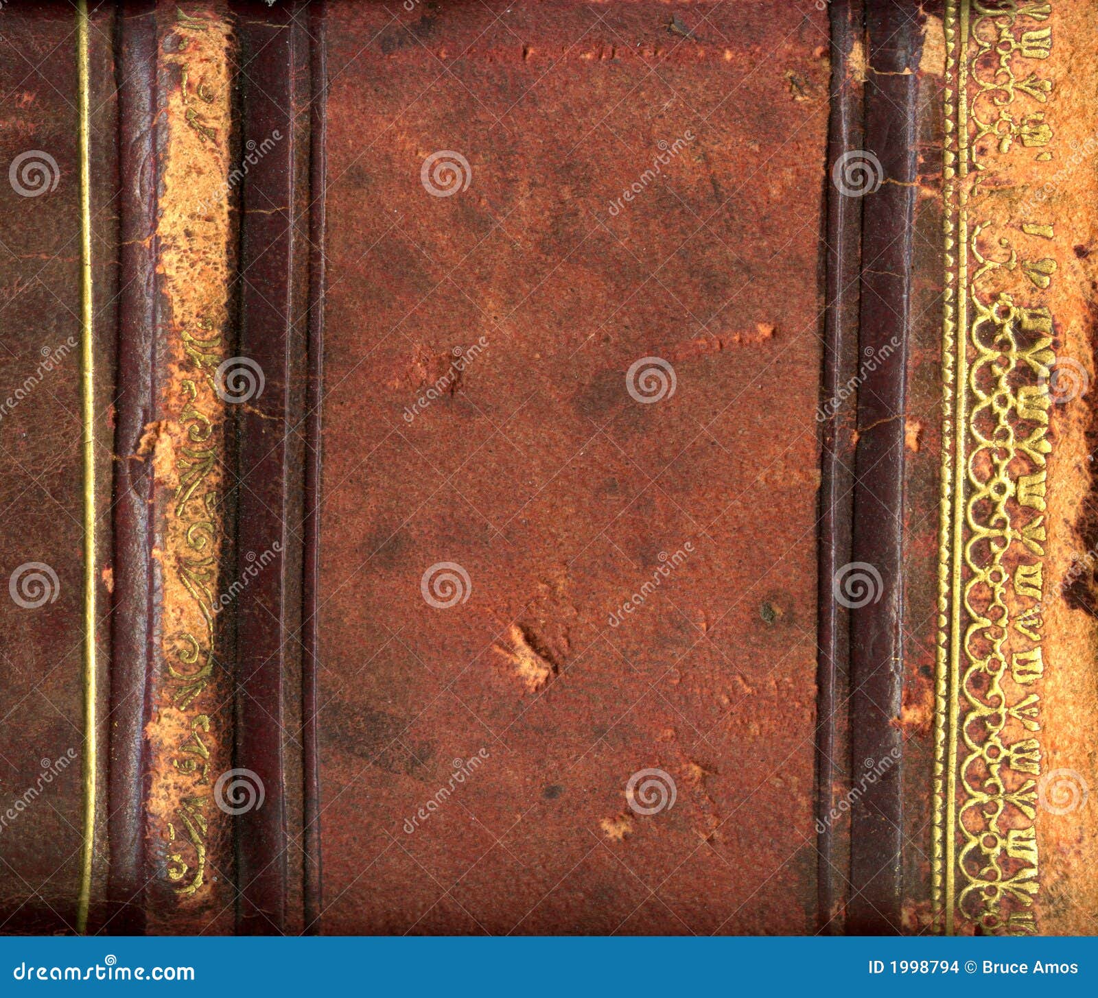 Leather Book Spine Picture. Image: 1998794