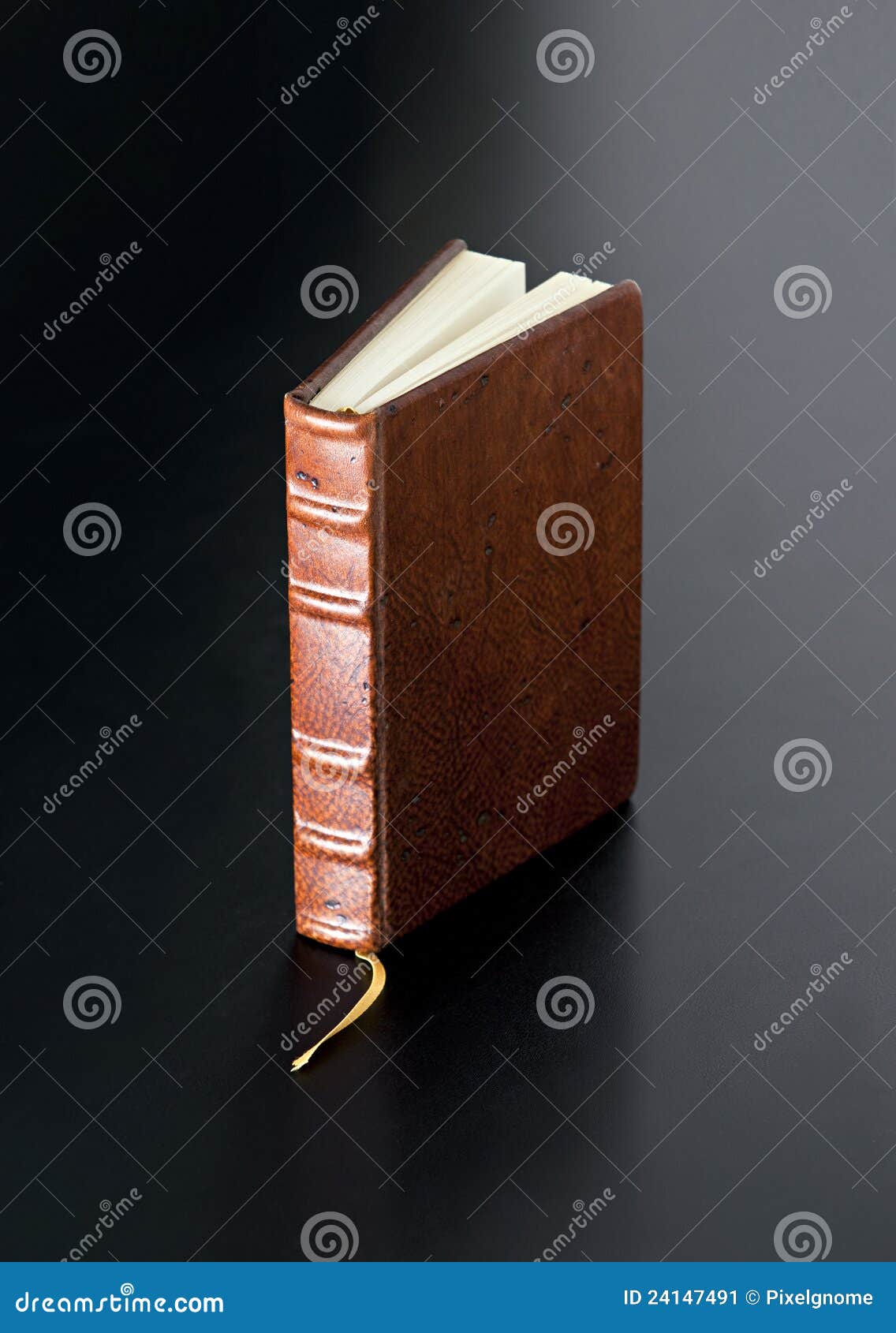 Leather Bound Company Archives Stock Photo | CartoonDealer.com #699858