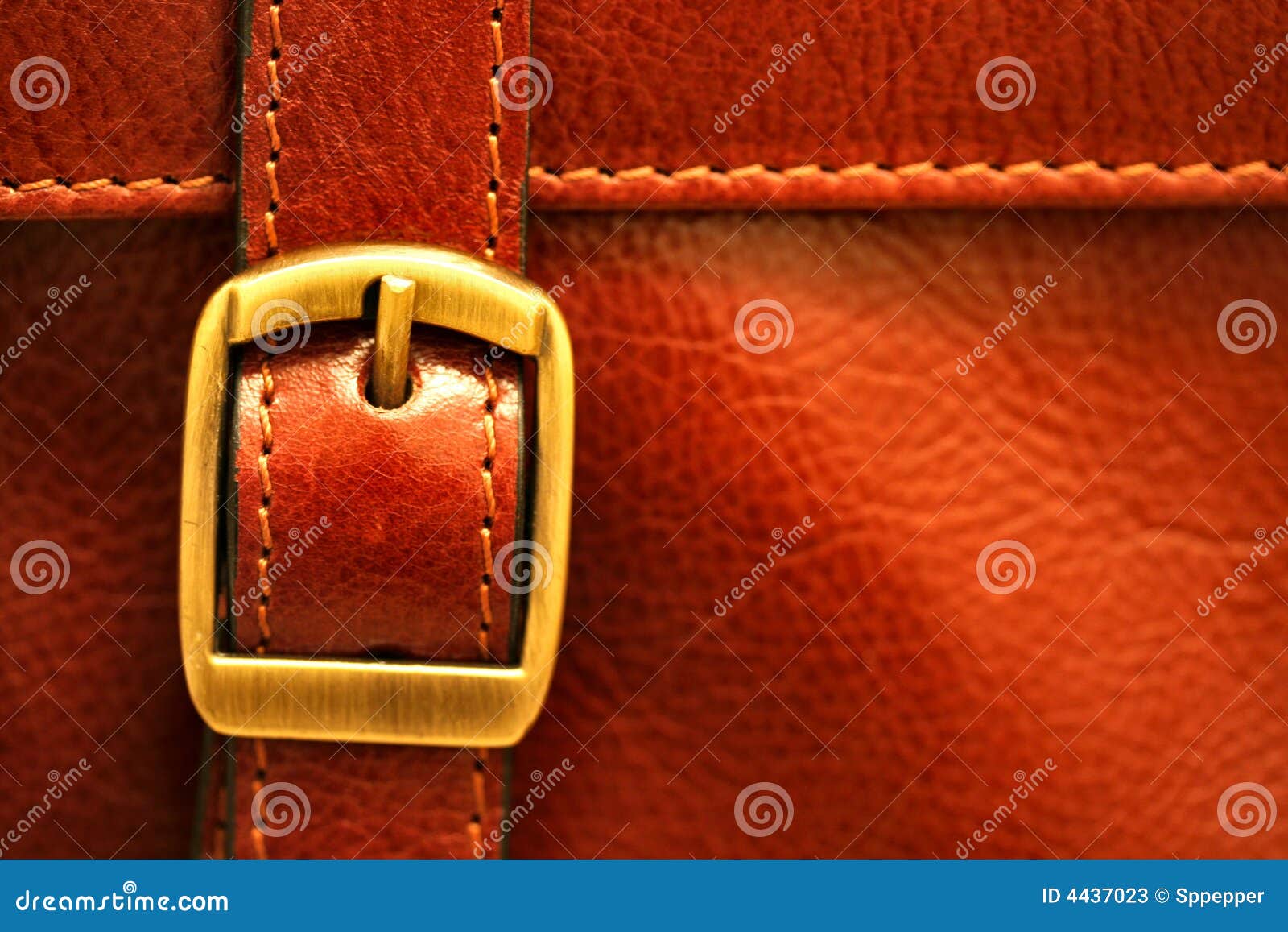 Leather Briefcase Buckle (selective Focus) Stock Image - Image of ...