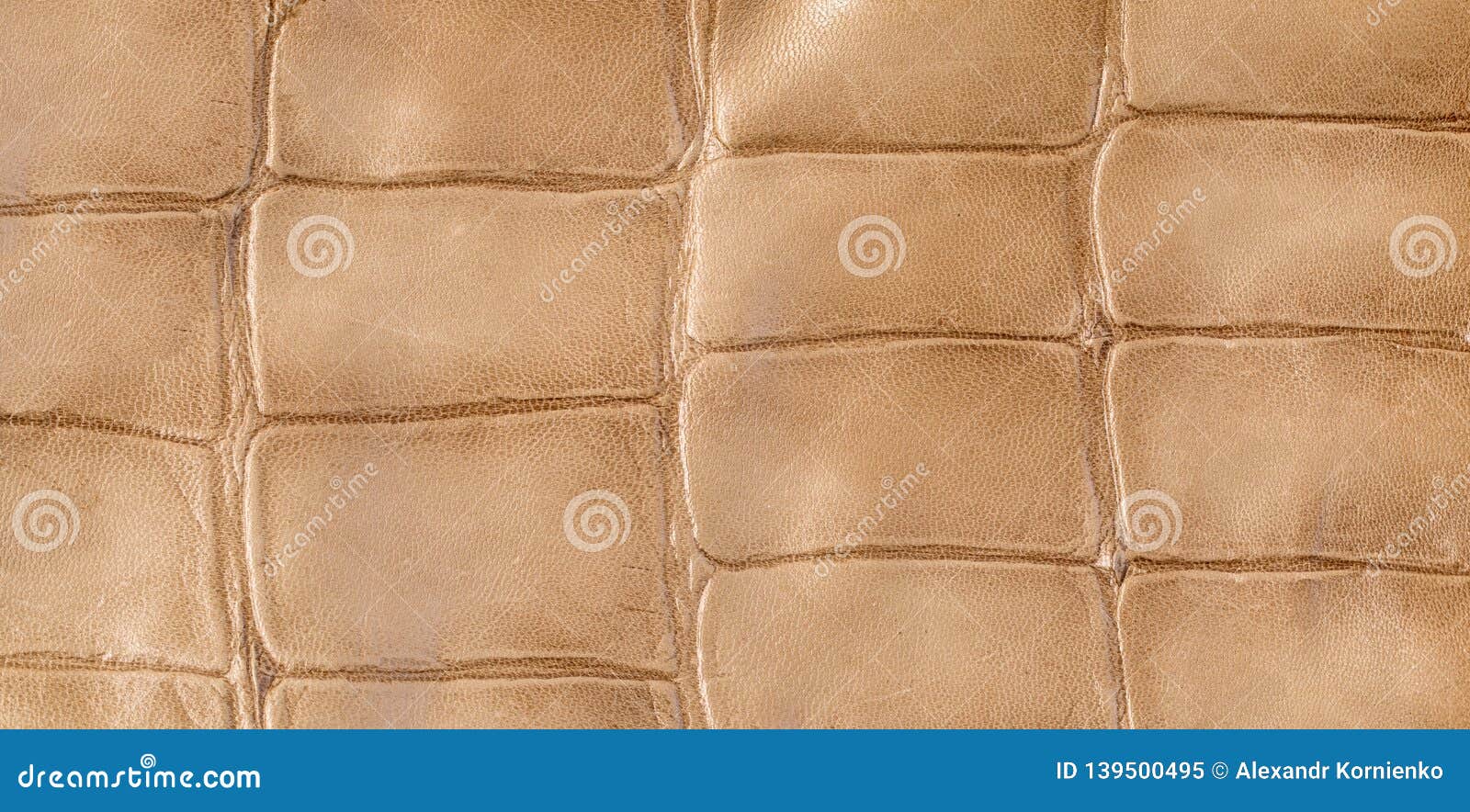 Leather crocodile texture stock image. Image of material - 139500495