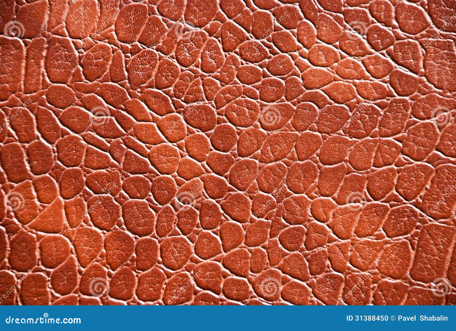 Leather pattern stock photo. Image of patterned, skin - 31388450