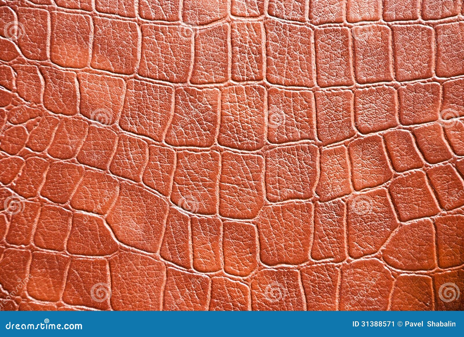 Leather pattern stock image. Image of vintage, material - 31388571