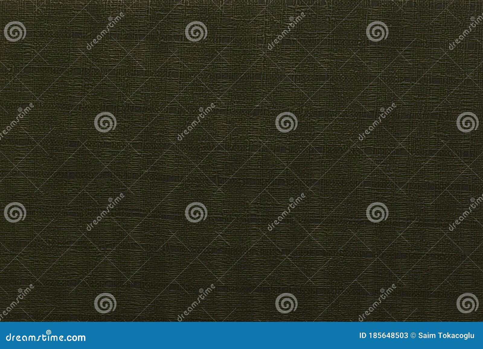 Graphic Work, Covering, Background, Patterned Leather. Abstract Leather ...